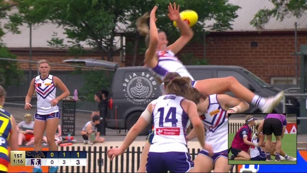 Docker down after huge fly ends awry