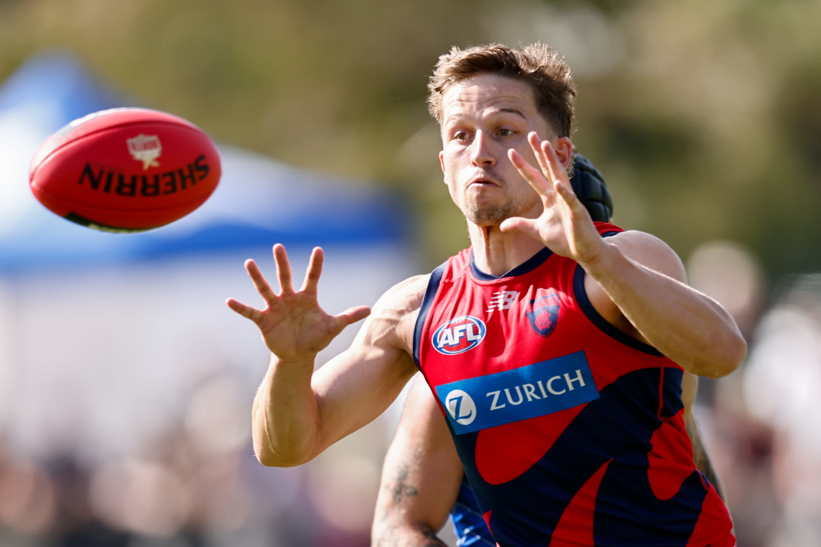 Stream your team: Watch all VFL and VFLW games LIVE and FREE