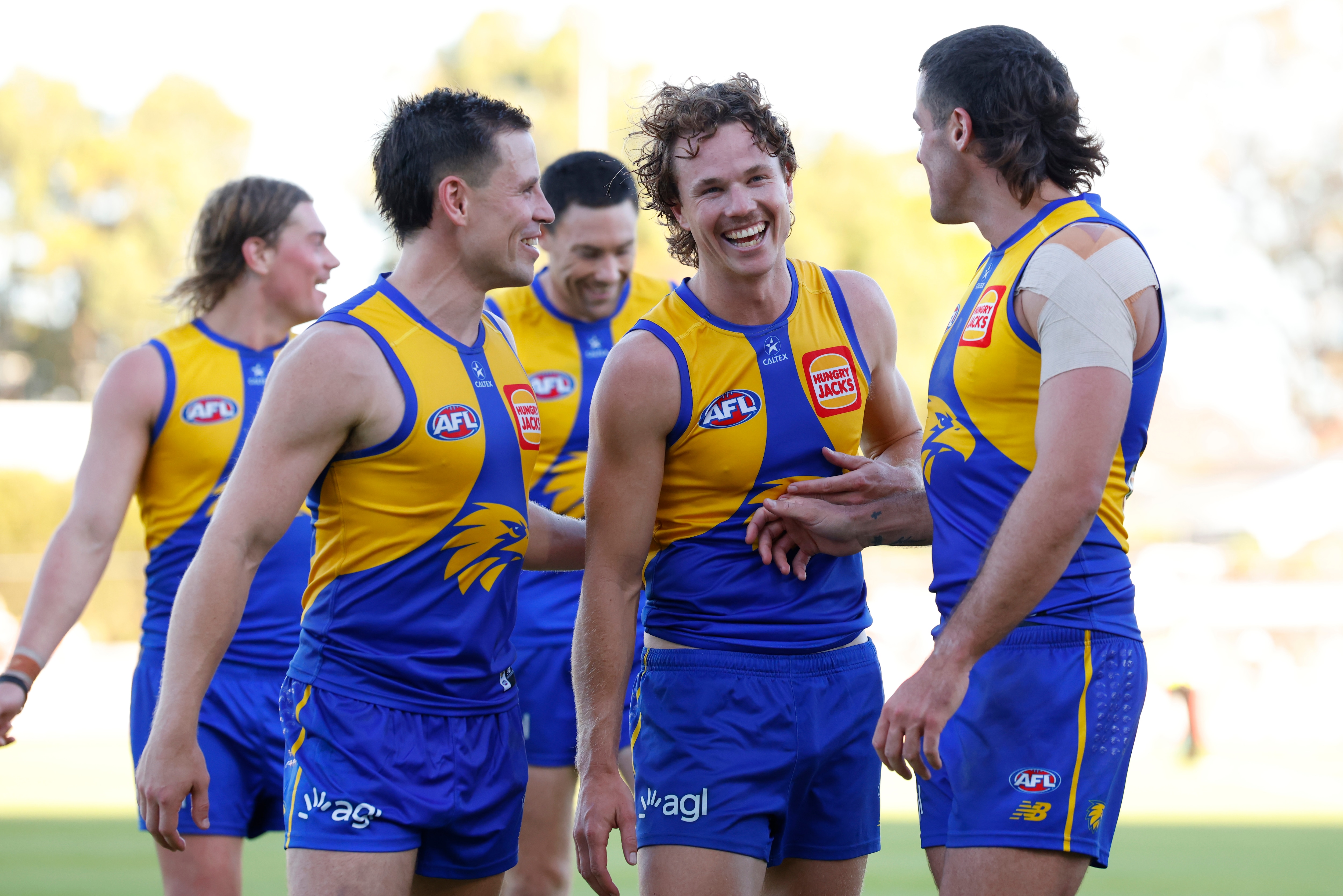 Eagles a 'work in progress' under new coach, draftee impresses