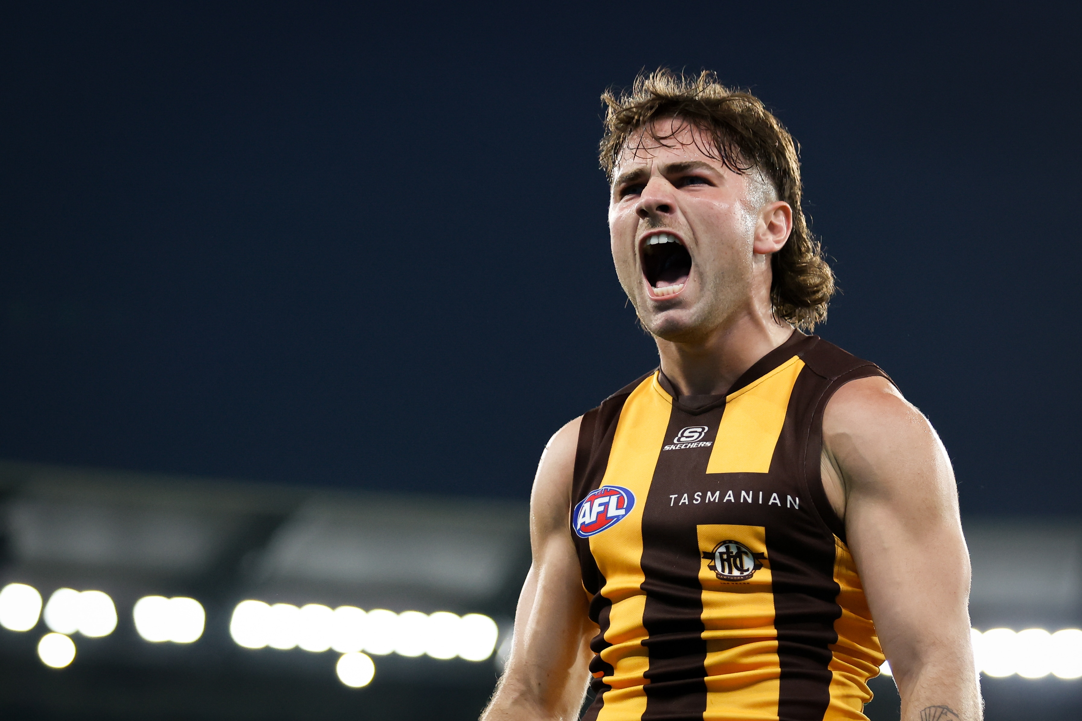 Mosquito fleet full of bite as Hawks bring down Bombers