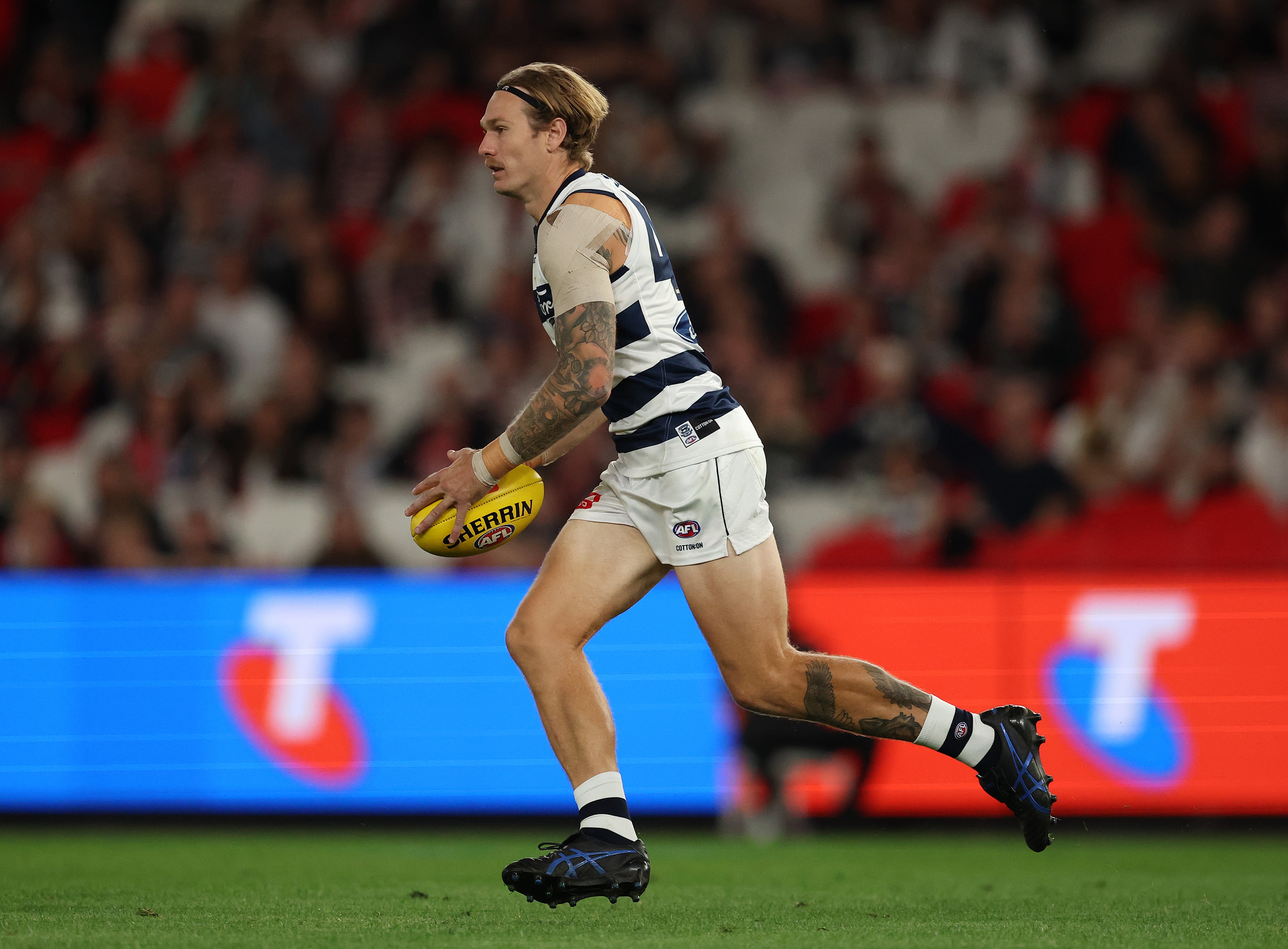 MATCH REVIEW: Cats gun learns fate, mixed news for Roos pair