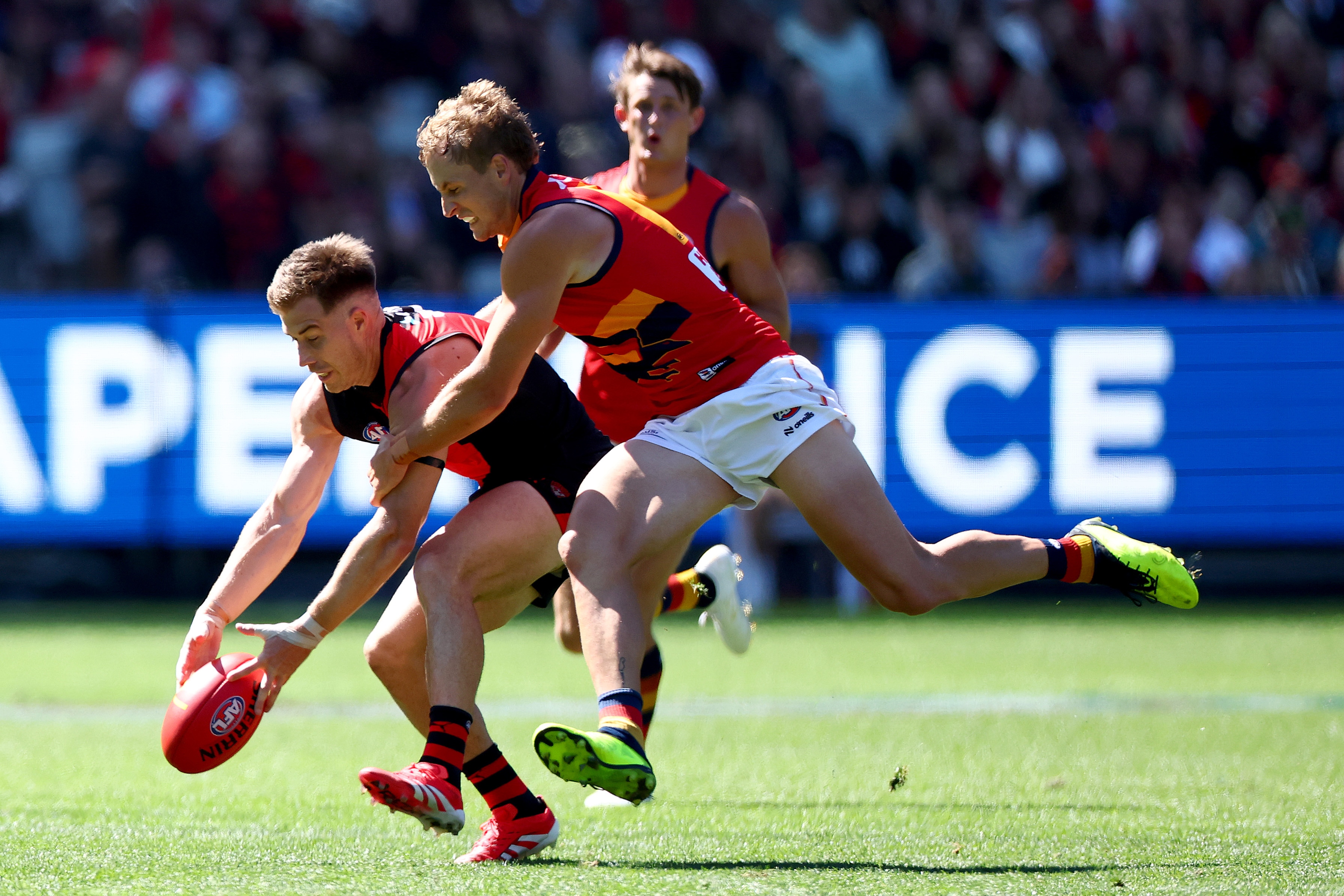 Brownlow Predictor: Surprise early leader, top Don's hot start