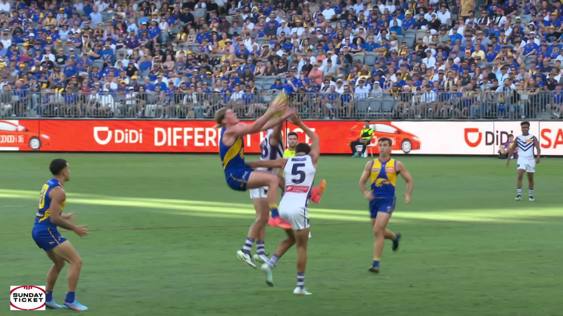 Harley hanger: Reid responds with super speccy