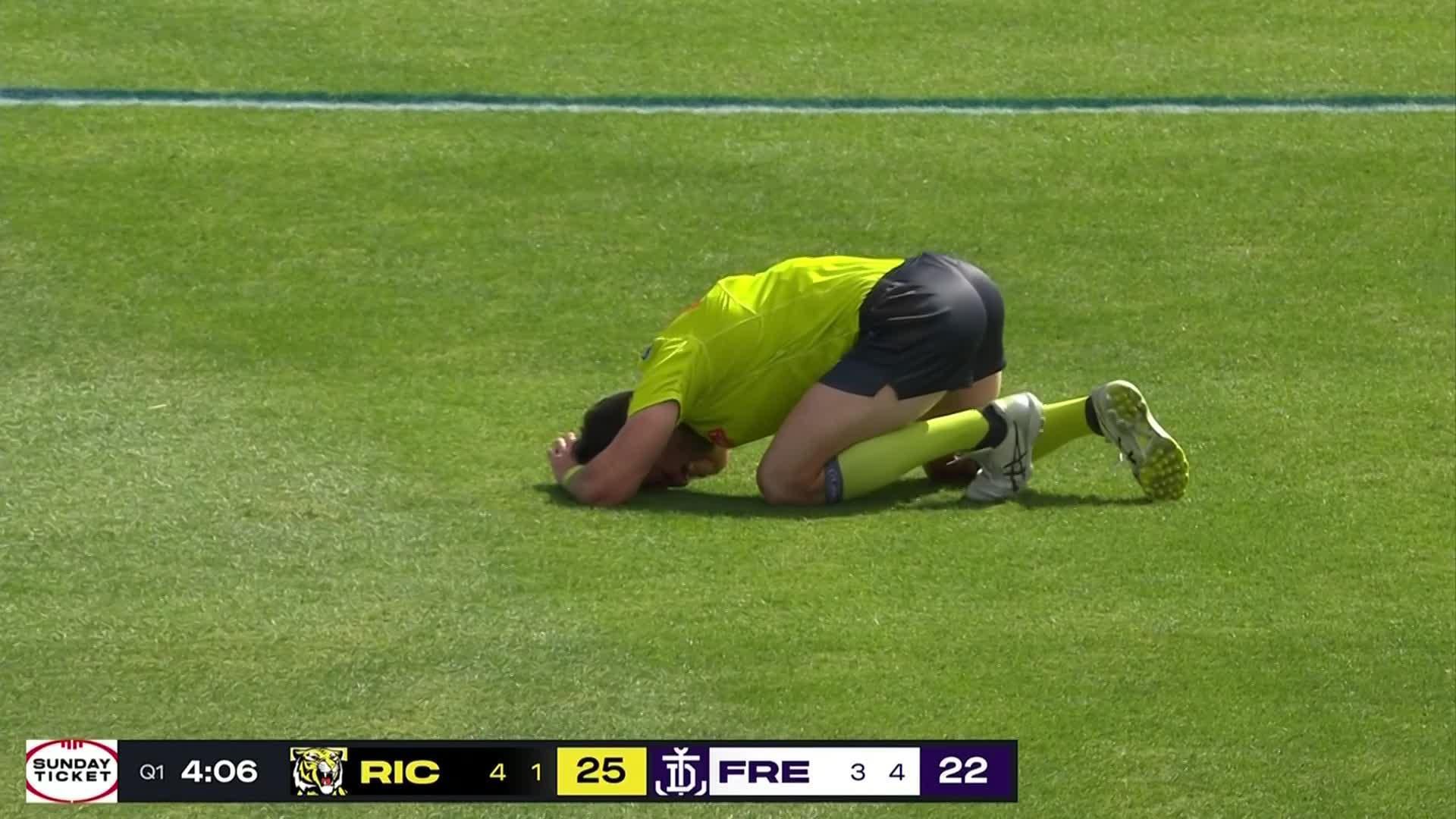Ump down in agony after brutal head clash with Tiger