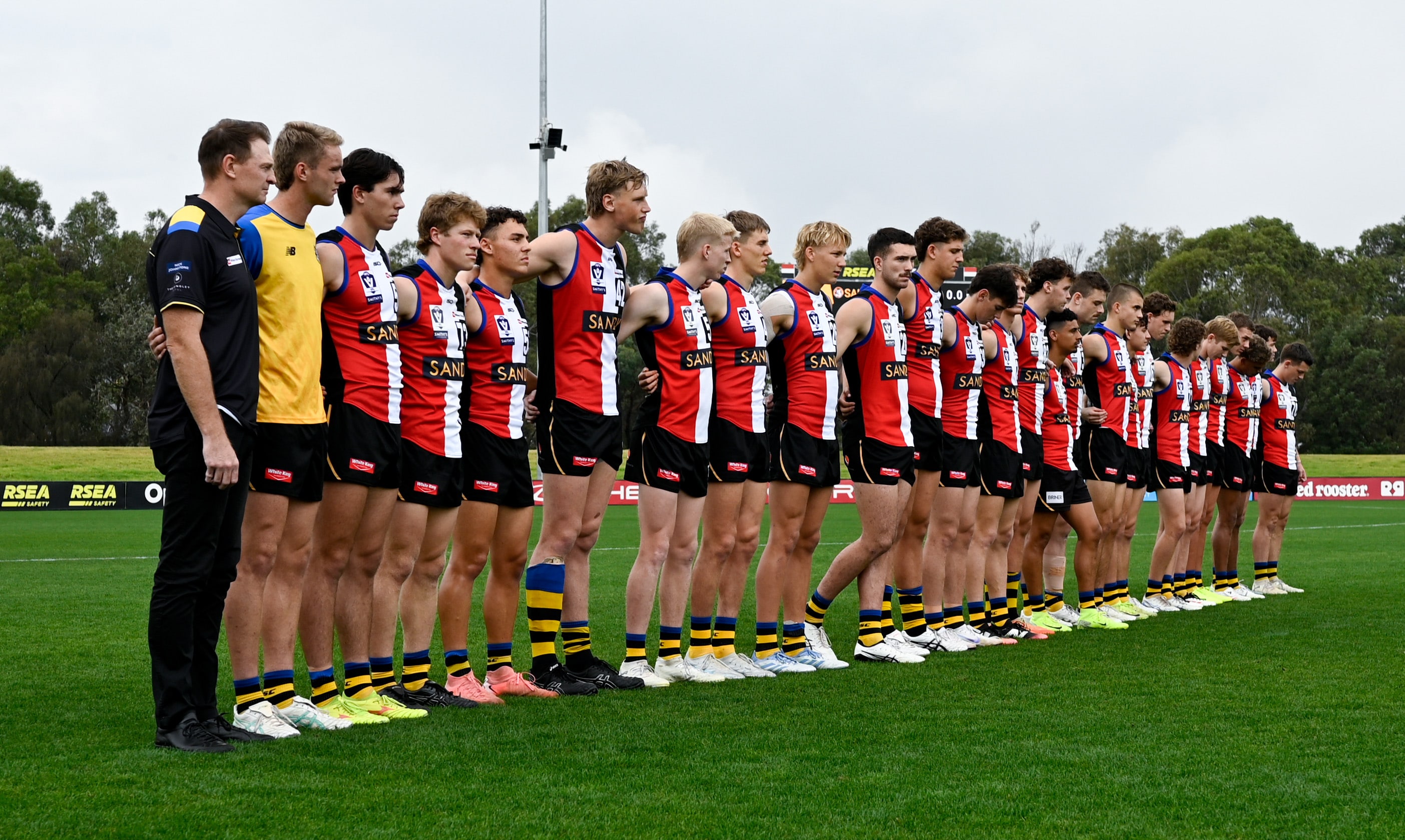 St Kilda approved VFL licence