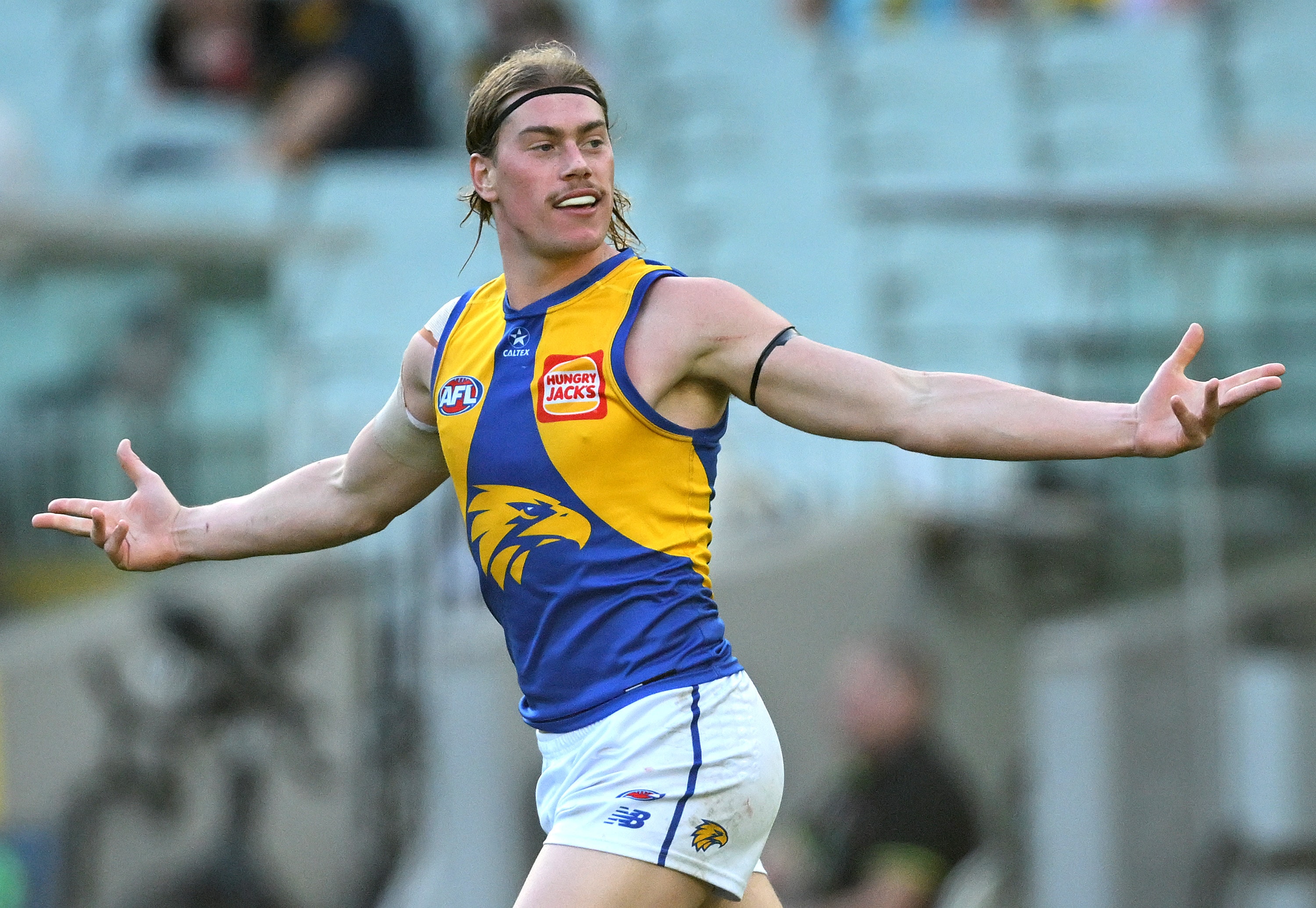 Harley's antics once again in the spotlight after Tigers clash