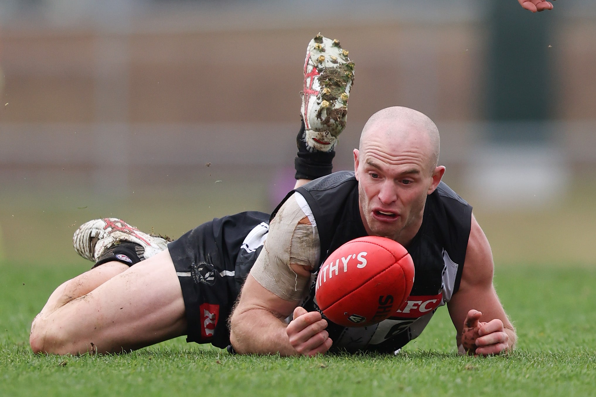 Stream your team: Watch all VFL and VFLW games LIVE and FREE