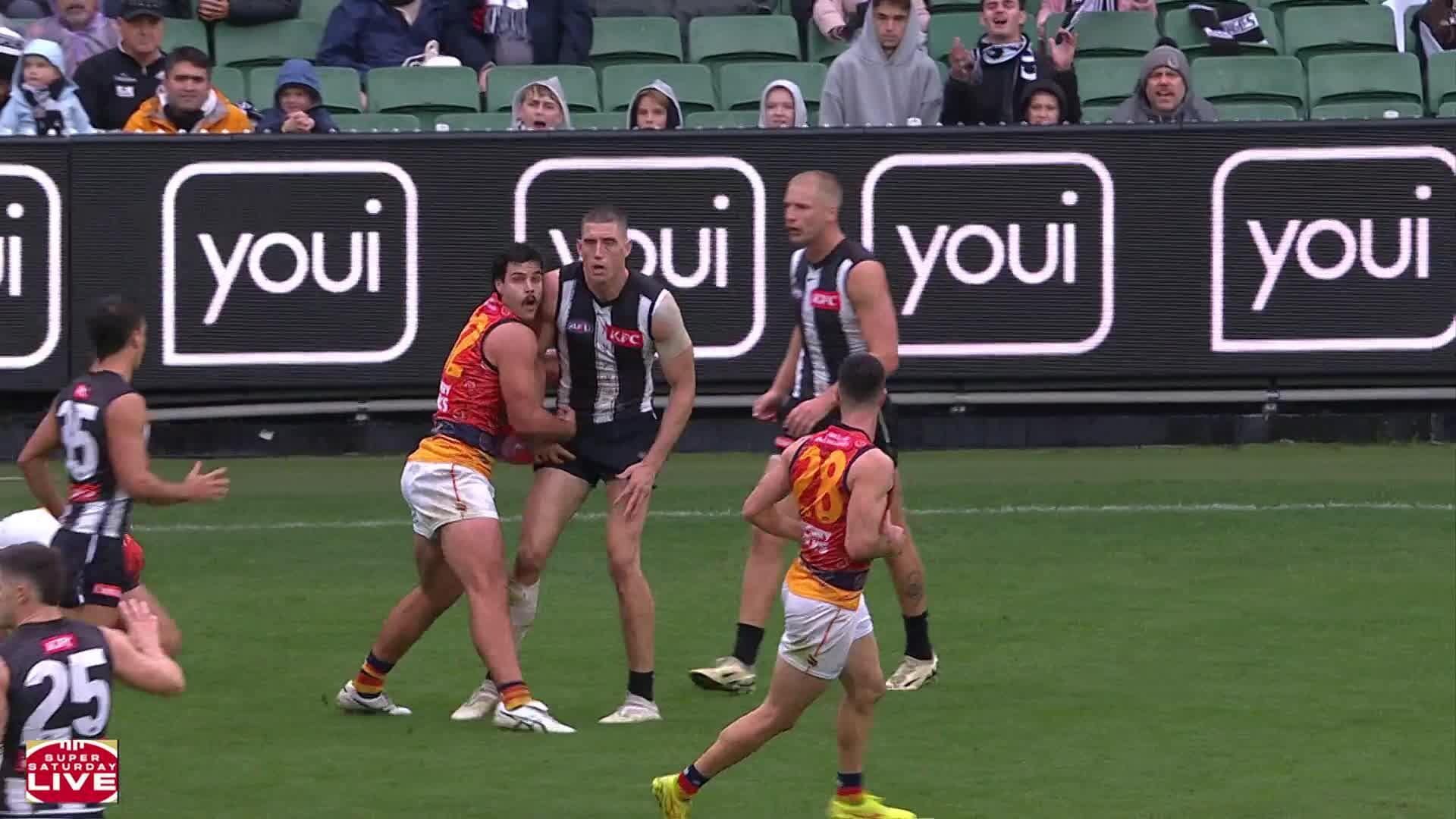 'That's a horrible mistake': Fogarty's brain fade