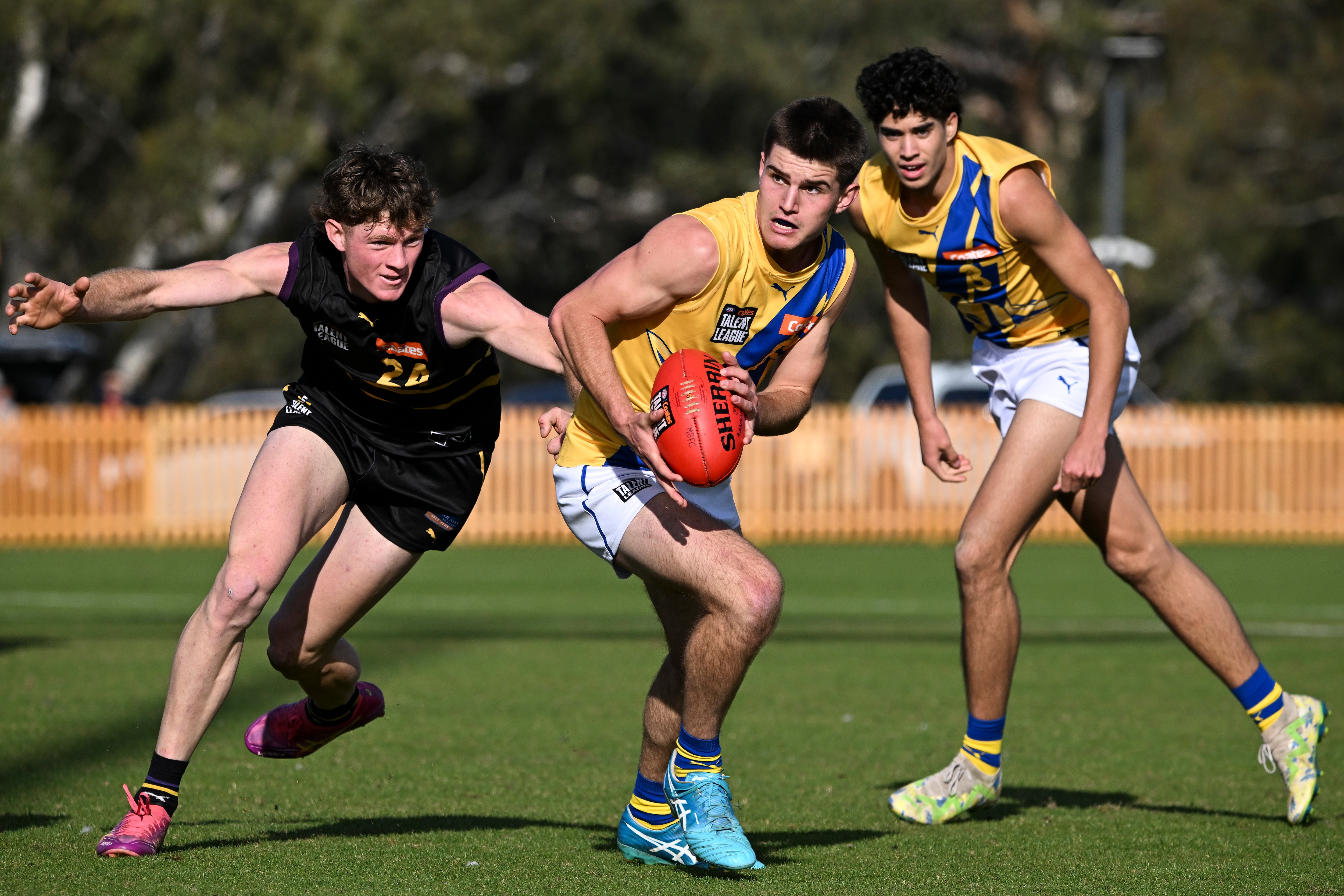 TEAMS: Coates Talent League Boys Round 11