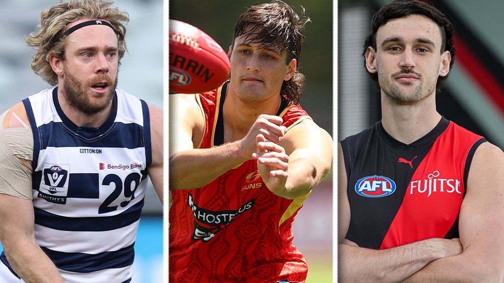 Around the state leagues: Luckless Cat limps off, Sun fires, new Bomber ...