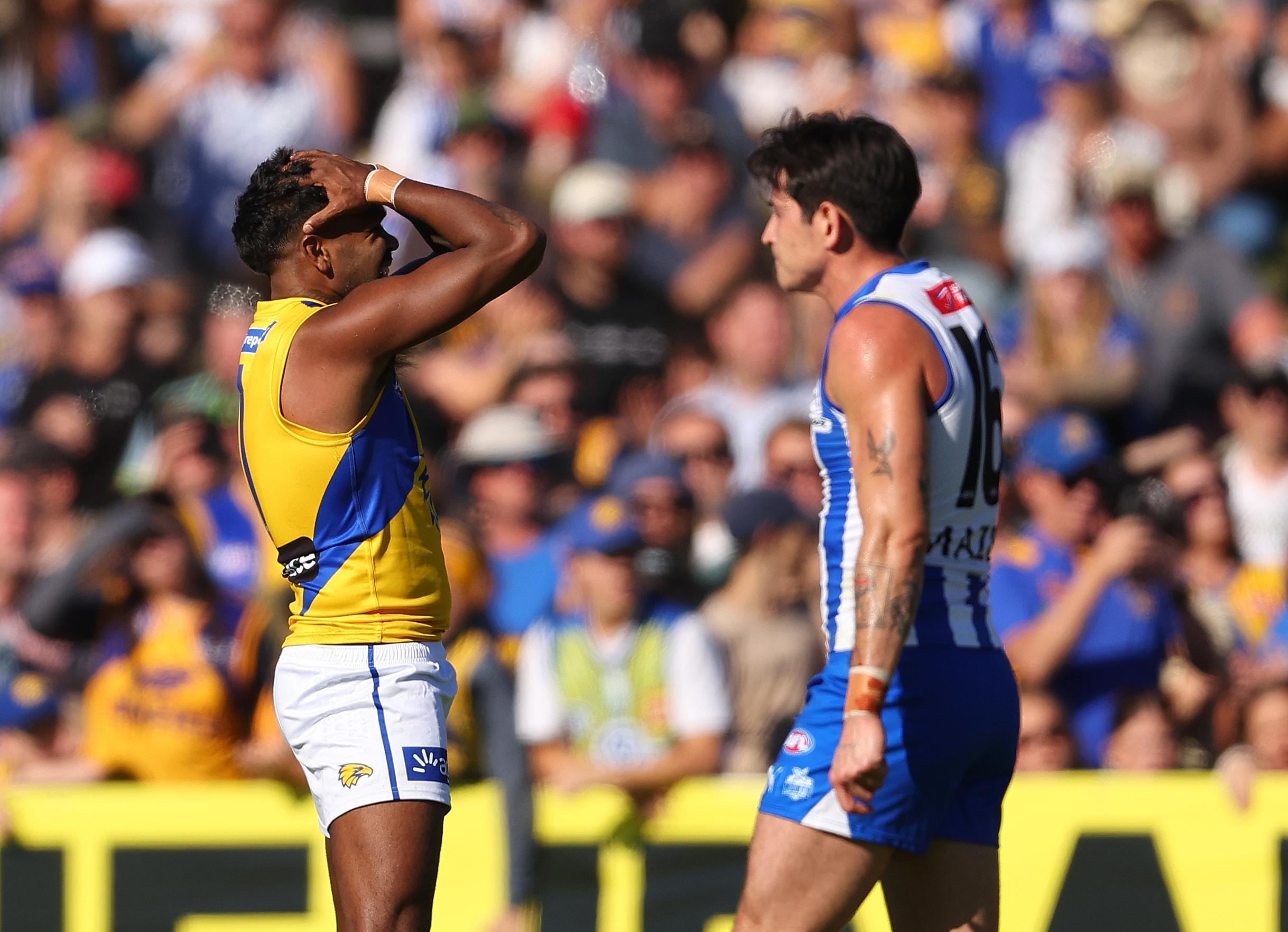Eagles 'need to learn how to win', Roos' leaders stand up