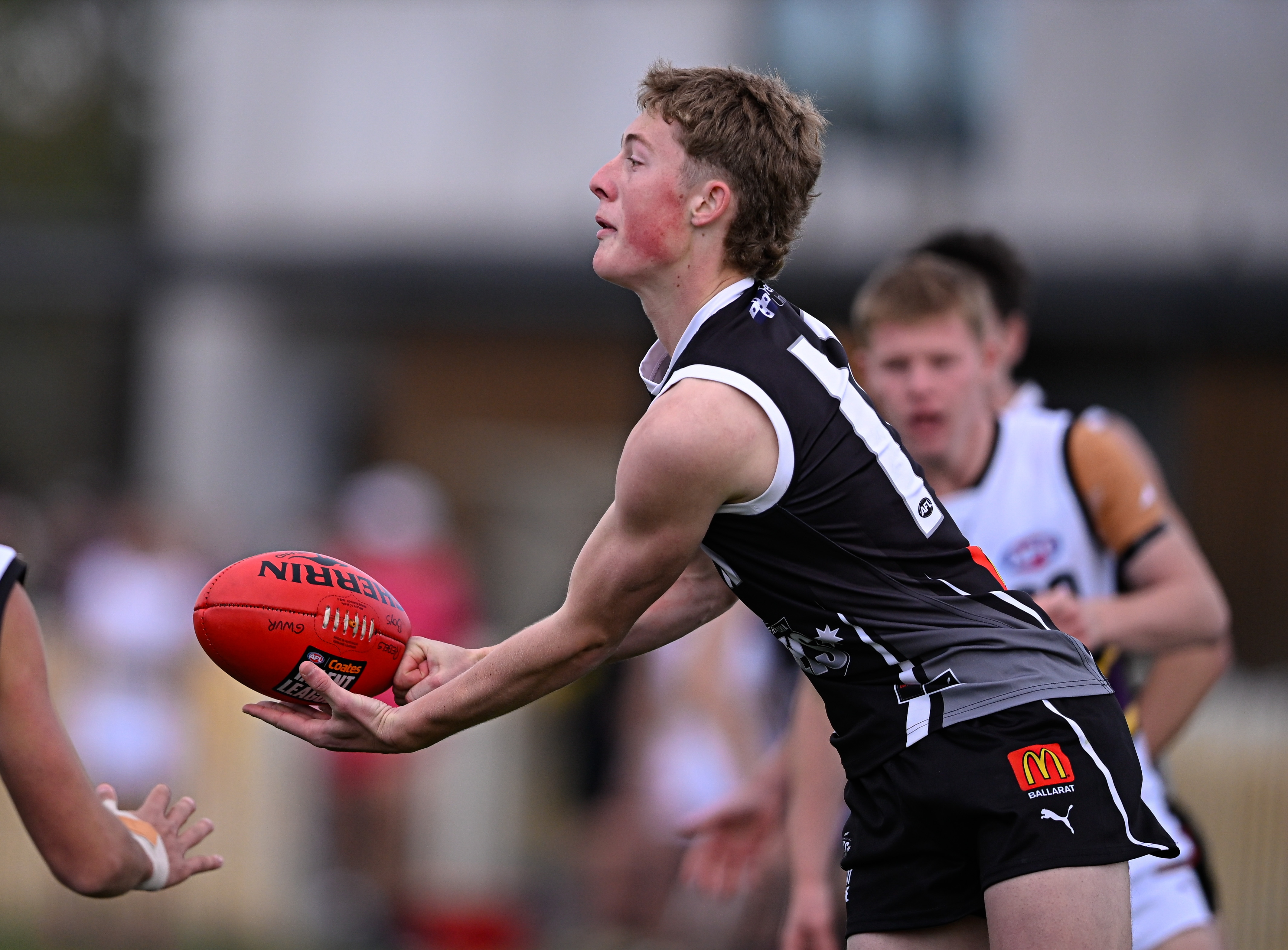 TEAMS: Coates Talent League Boys Round 12