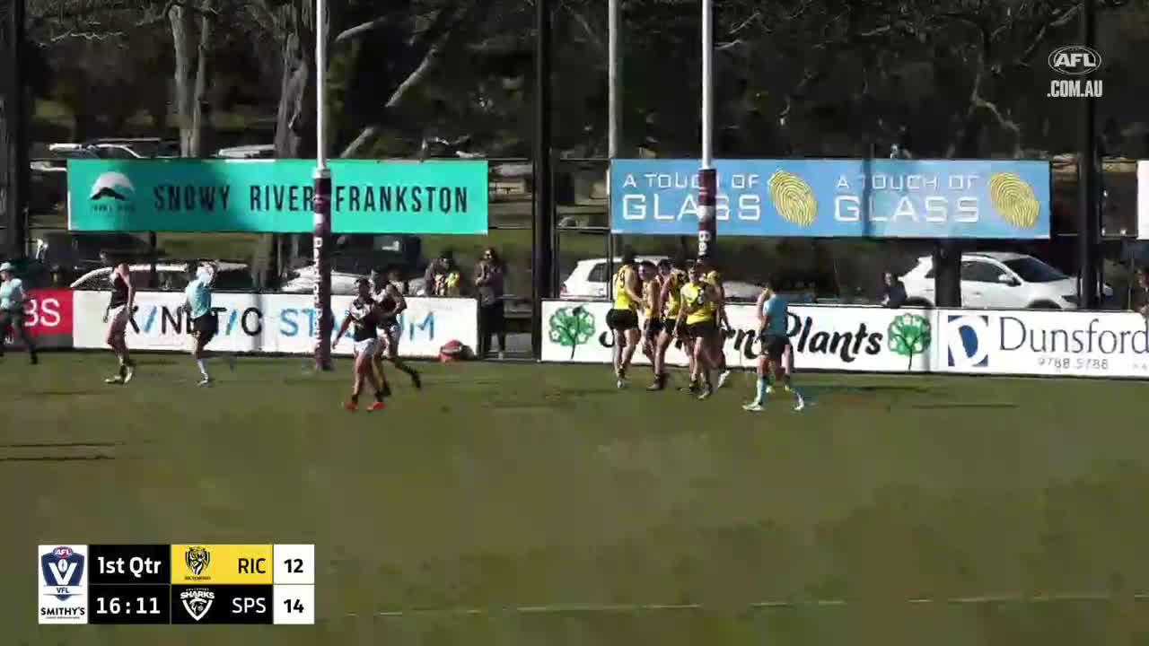 VFL Showreel, R16: Steely Green highlights