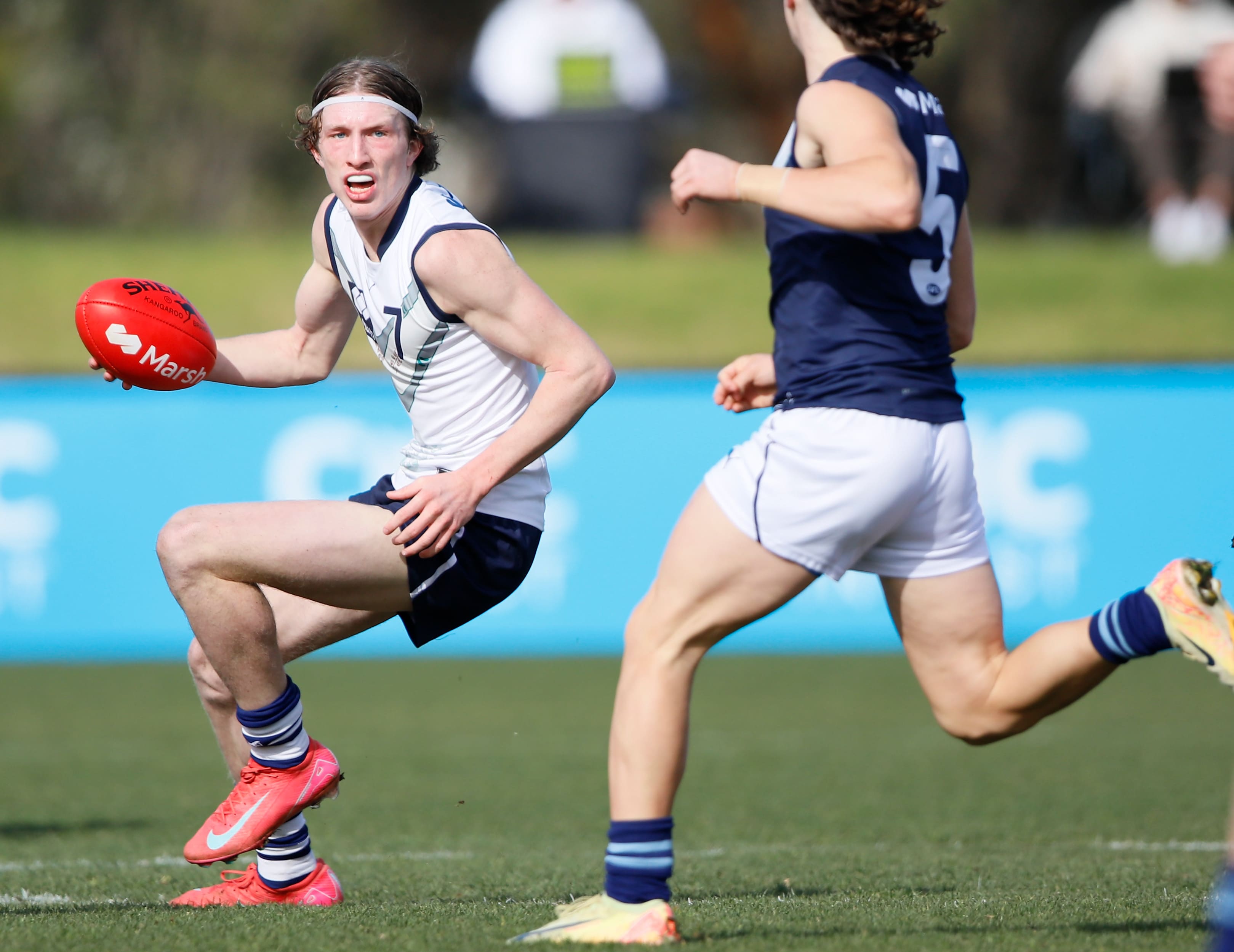 Stream your team: Watch all VFL and VFLW games LIVE and FREE