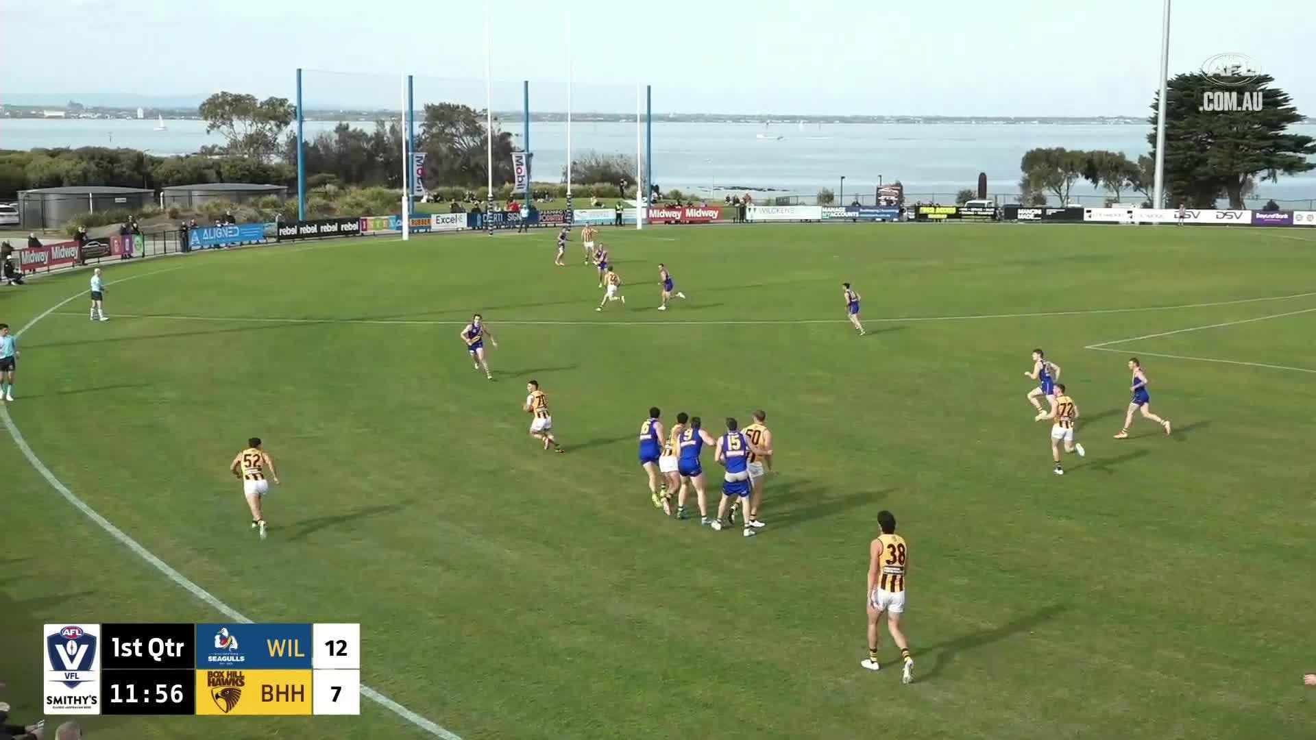 VFL Showreel, R17: Luke Breust highlights