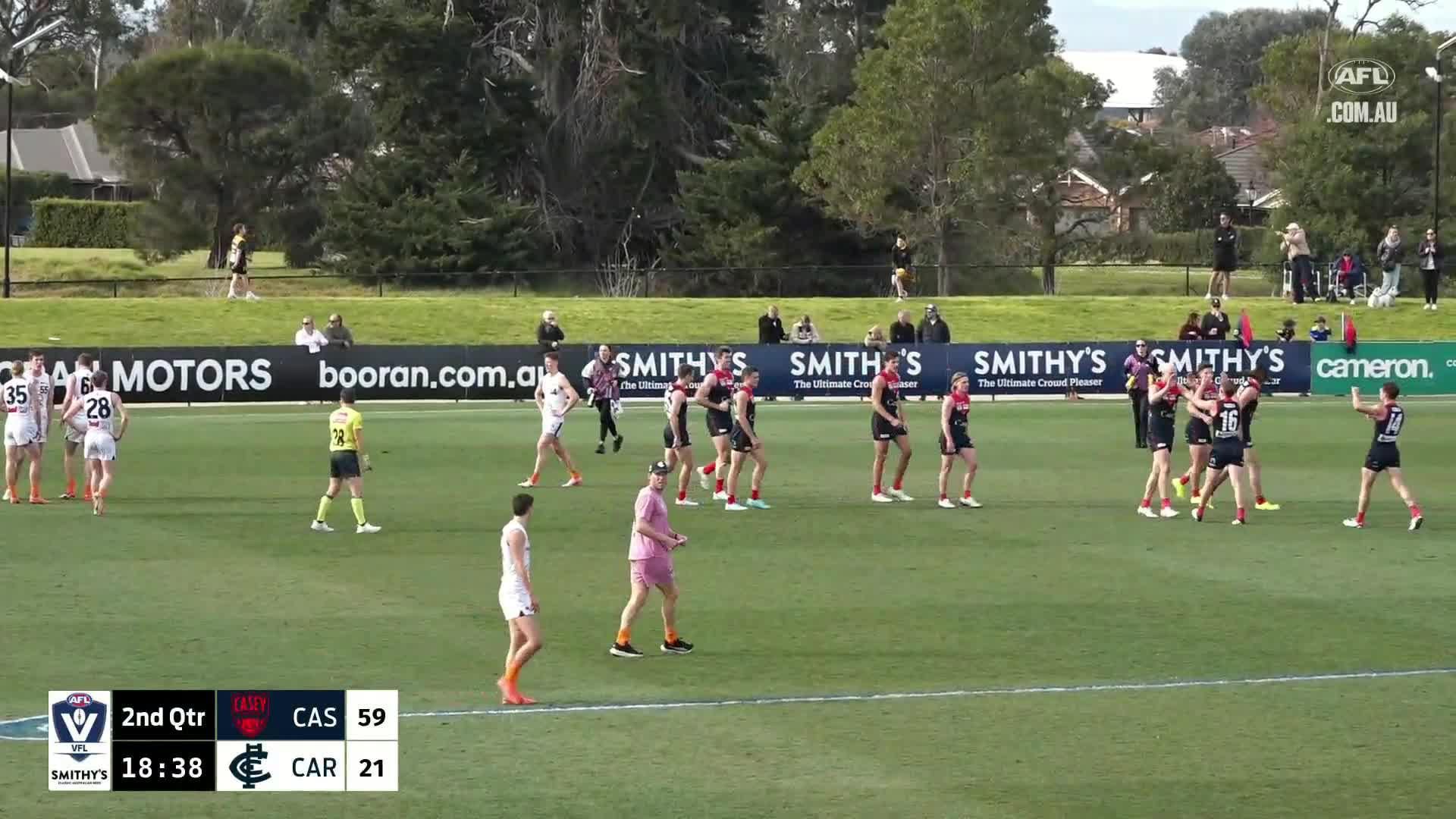 VFL Showreel, R17: Aidan Johnson highlights