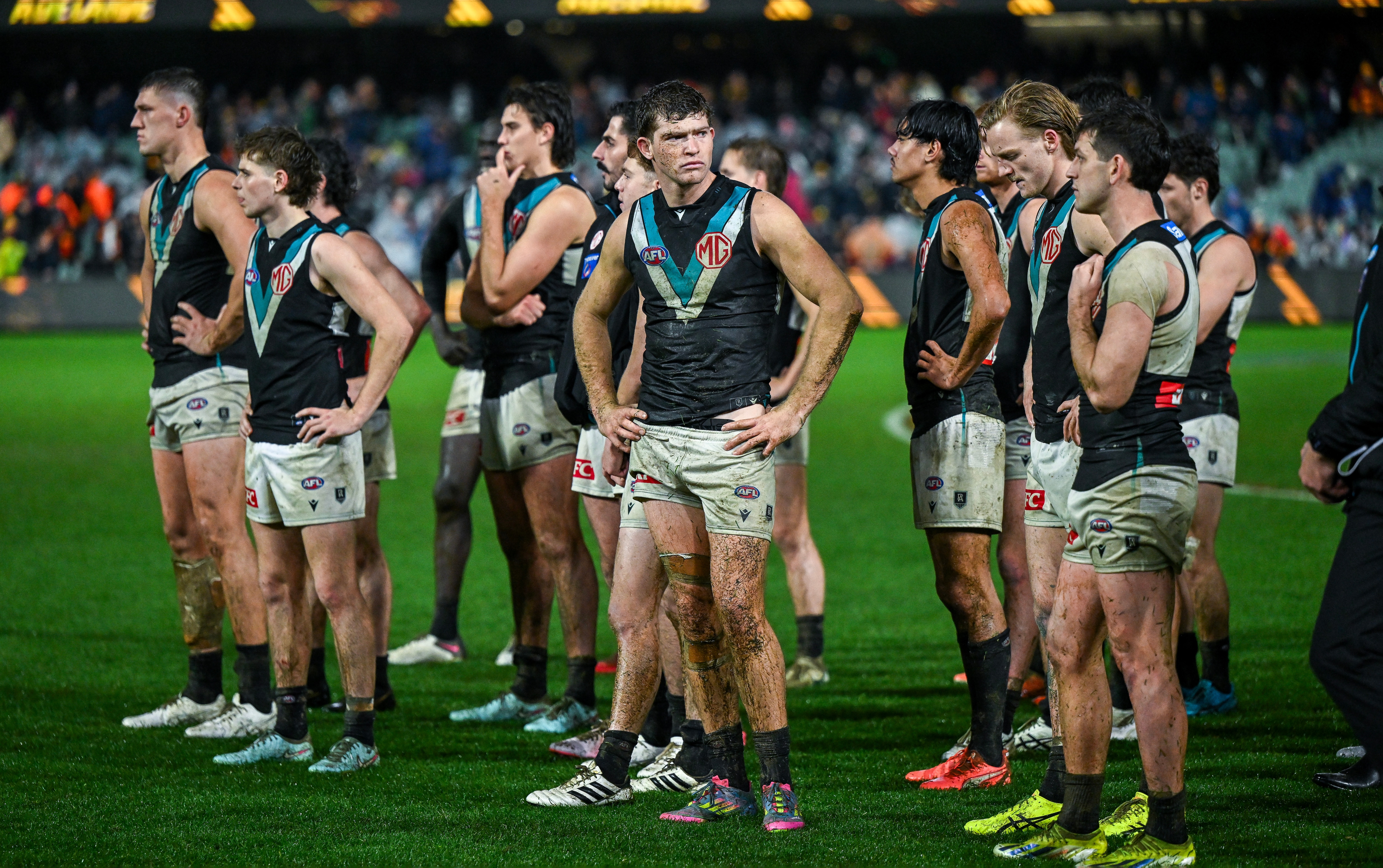 Chloe park porn this provider, Novia is an attractive fit