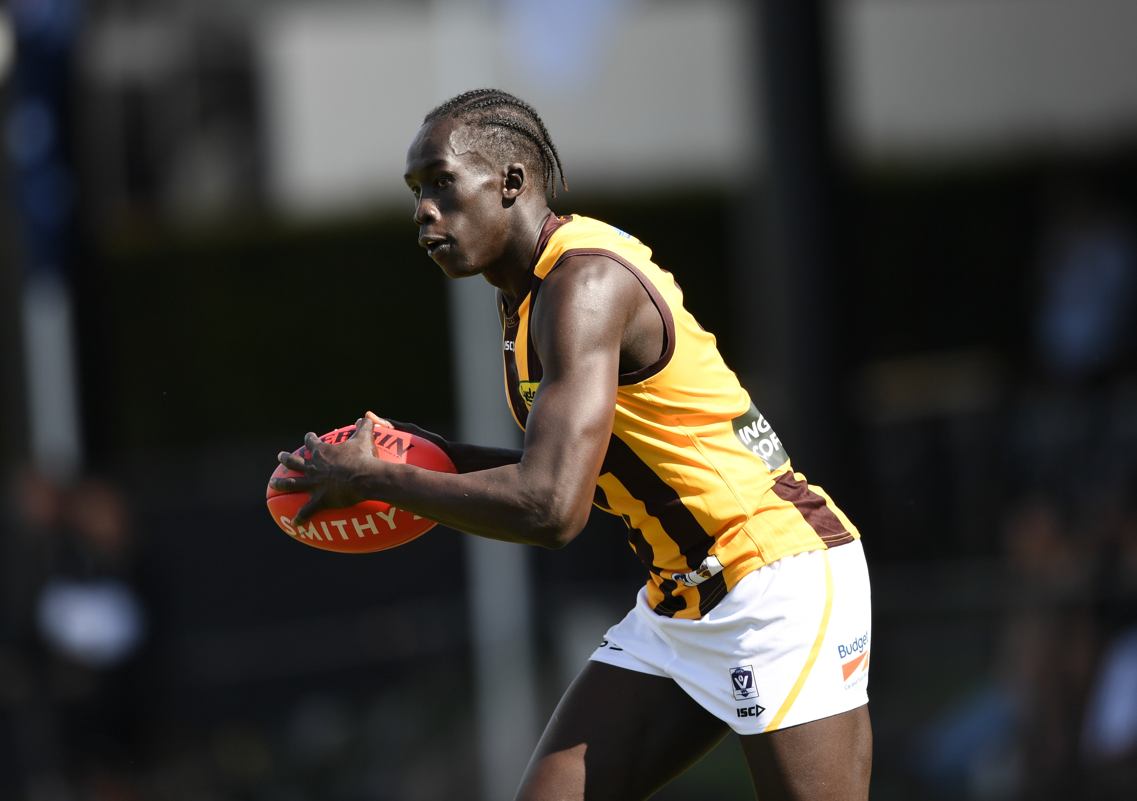 REVIEW: Smithy's VFL Round 19