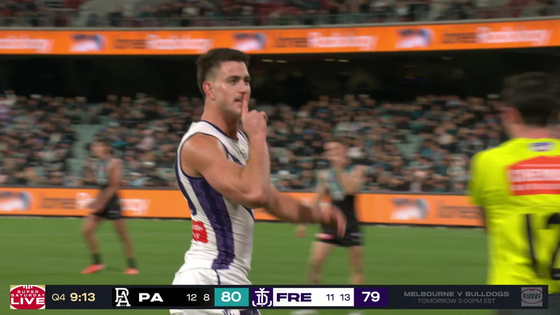 'That's a mark!': Voss shushes crowd after non-call ends in goal
