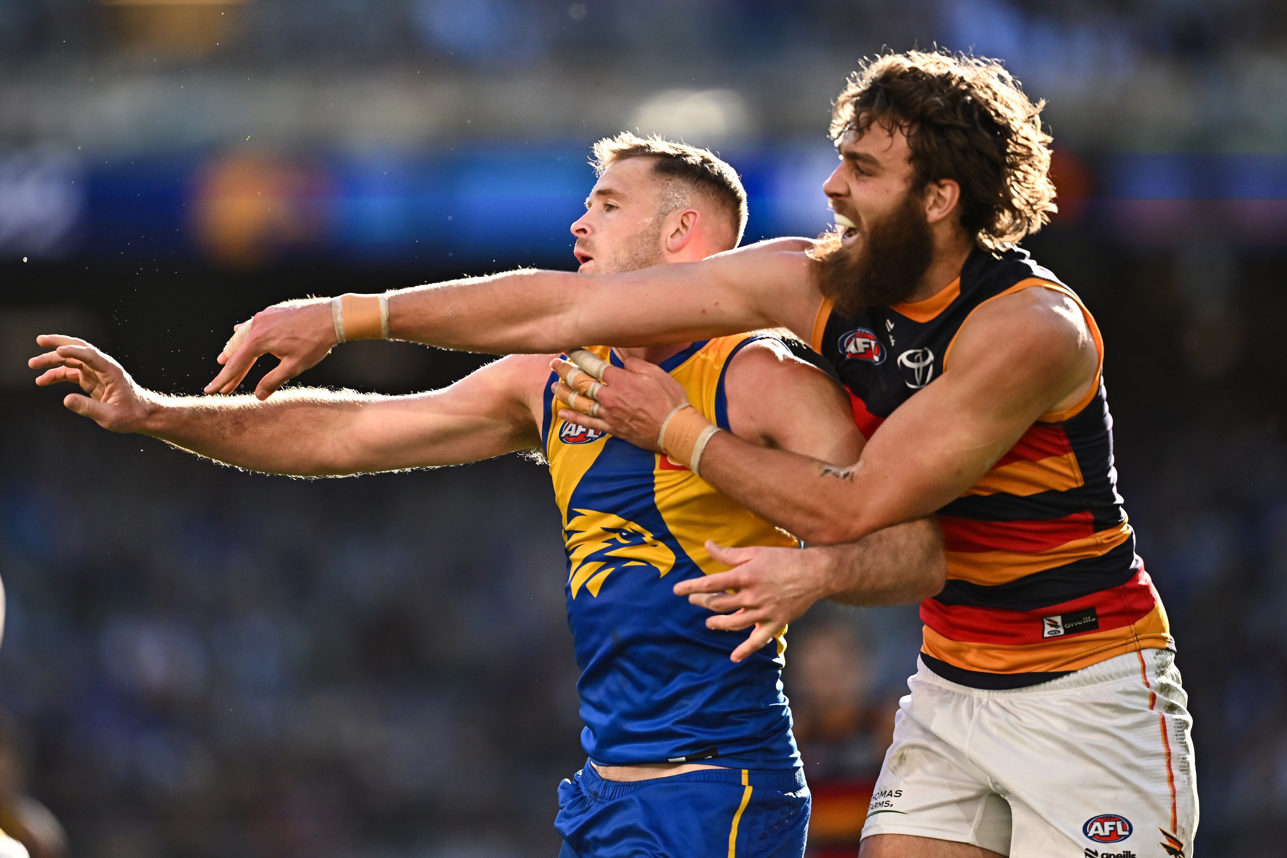 Final teams in for Eagles-Crows clash. Follow LIVE