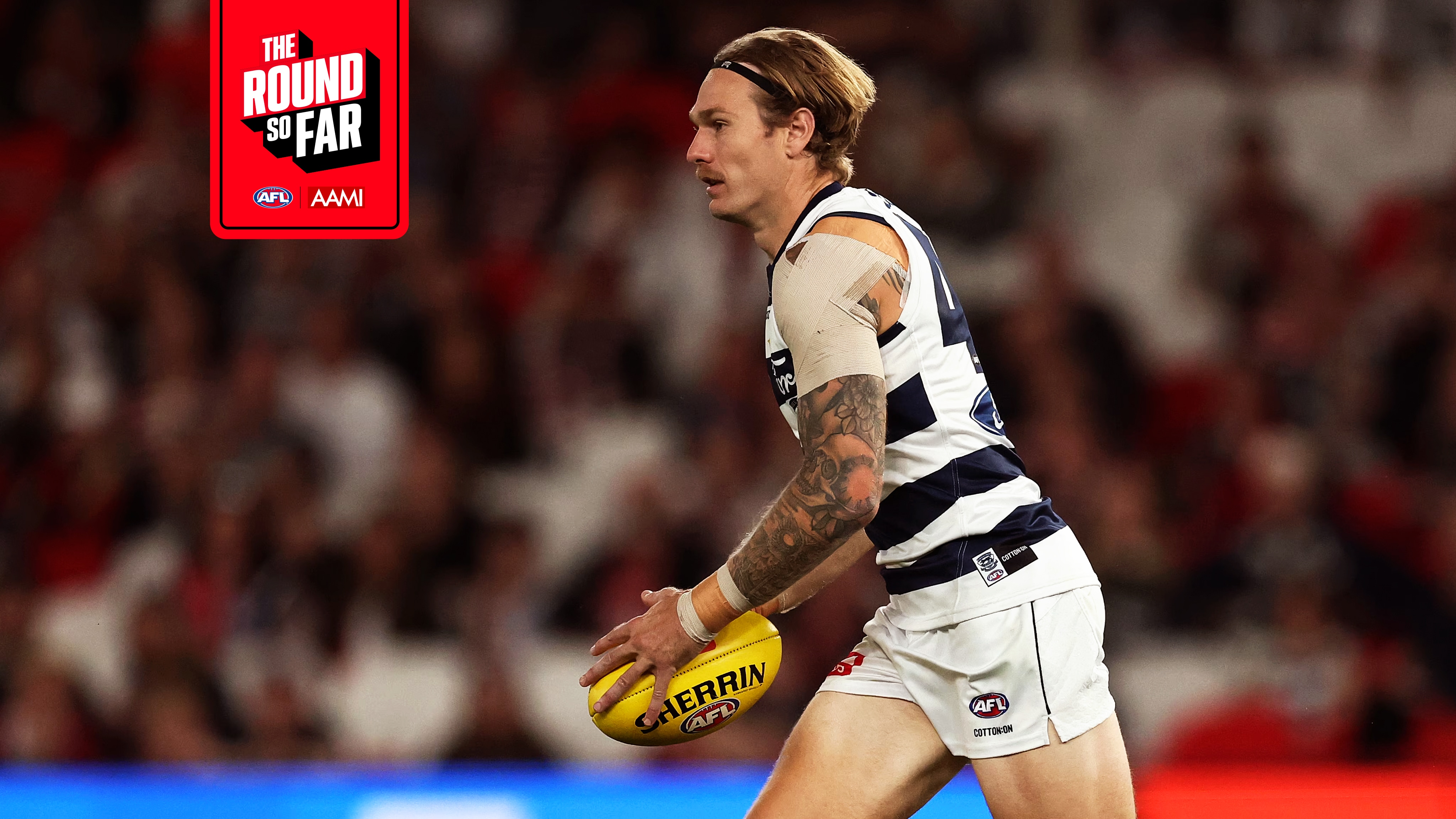 The Cats 'weapon' starting to get back to his best
