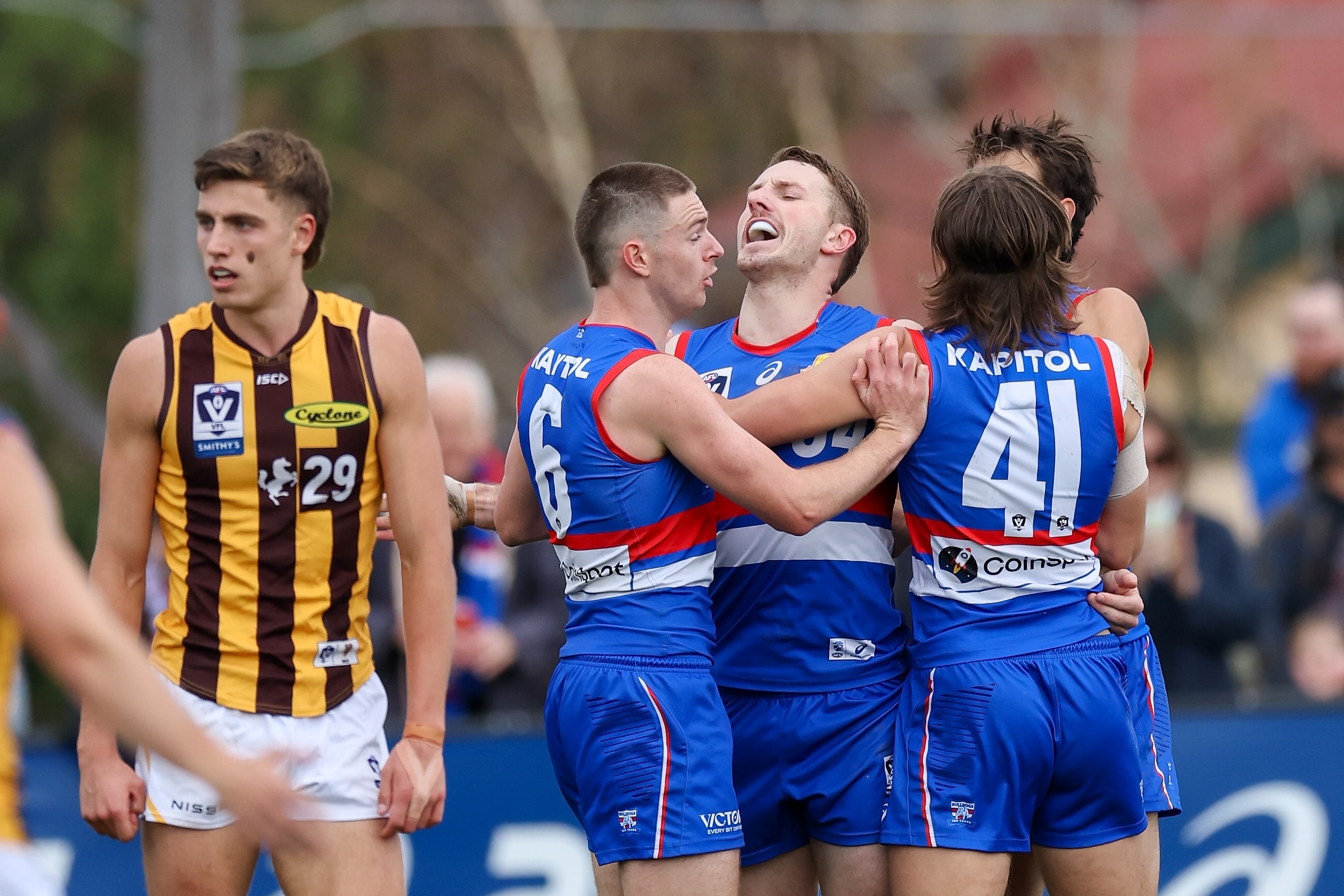 Around the state leagues: Dogs cruise into VFL GF after sinking Hawks
