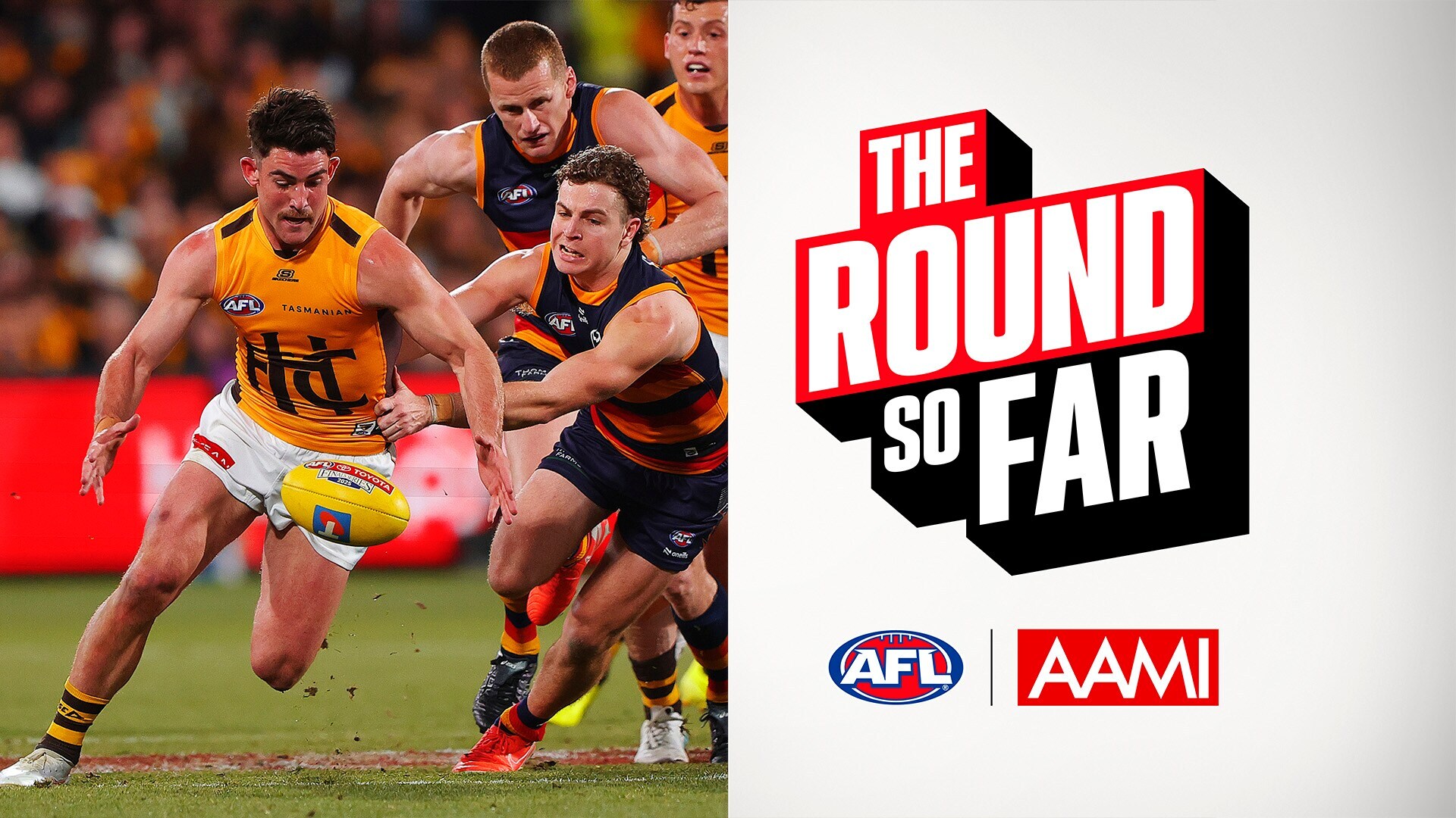 'Cardinal sin': Crows powerless to Newcombe's damage