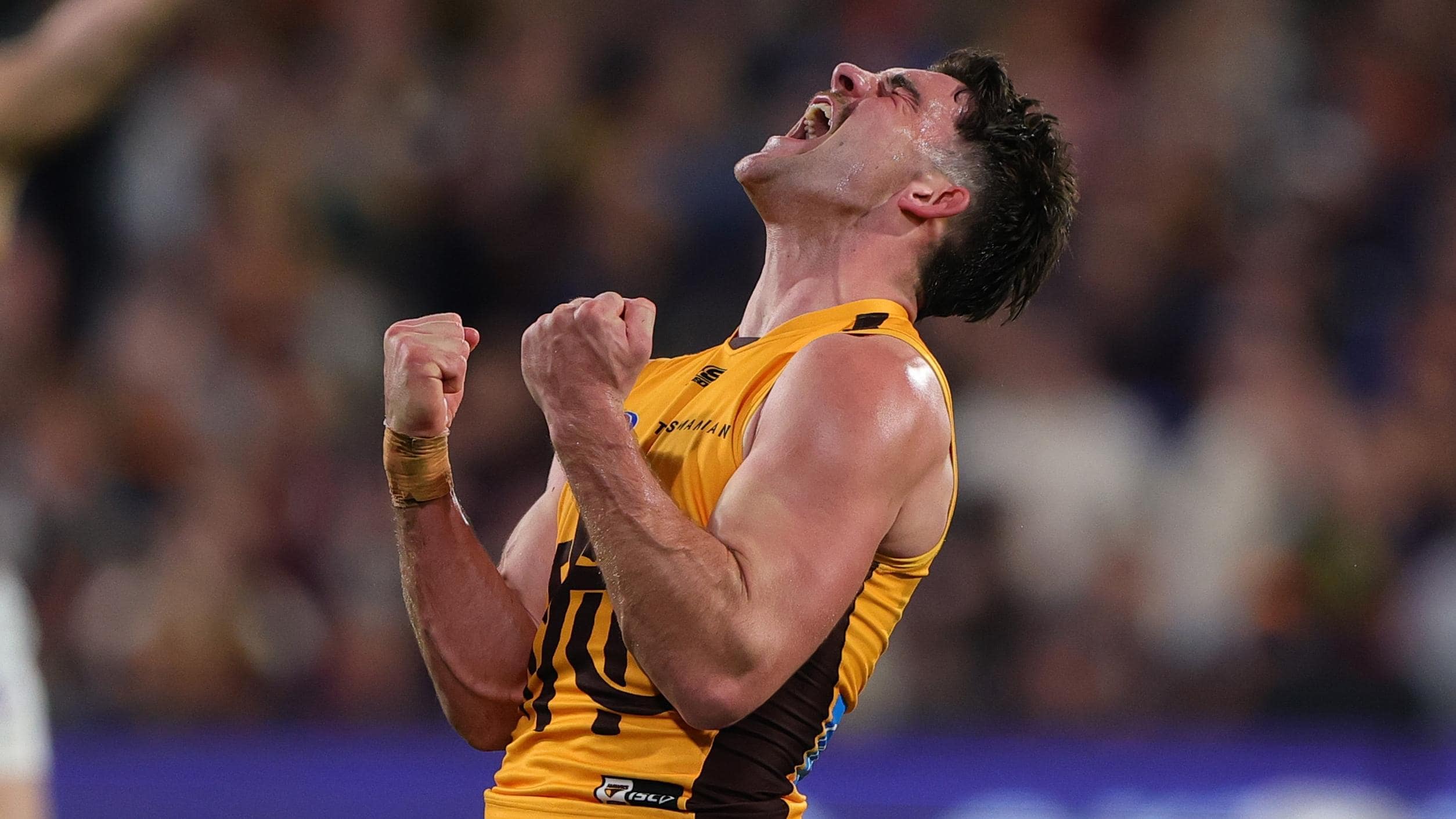 Gary Ayres Award: Hawk's hot streak rolls on, Lions share votes