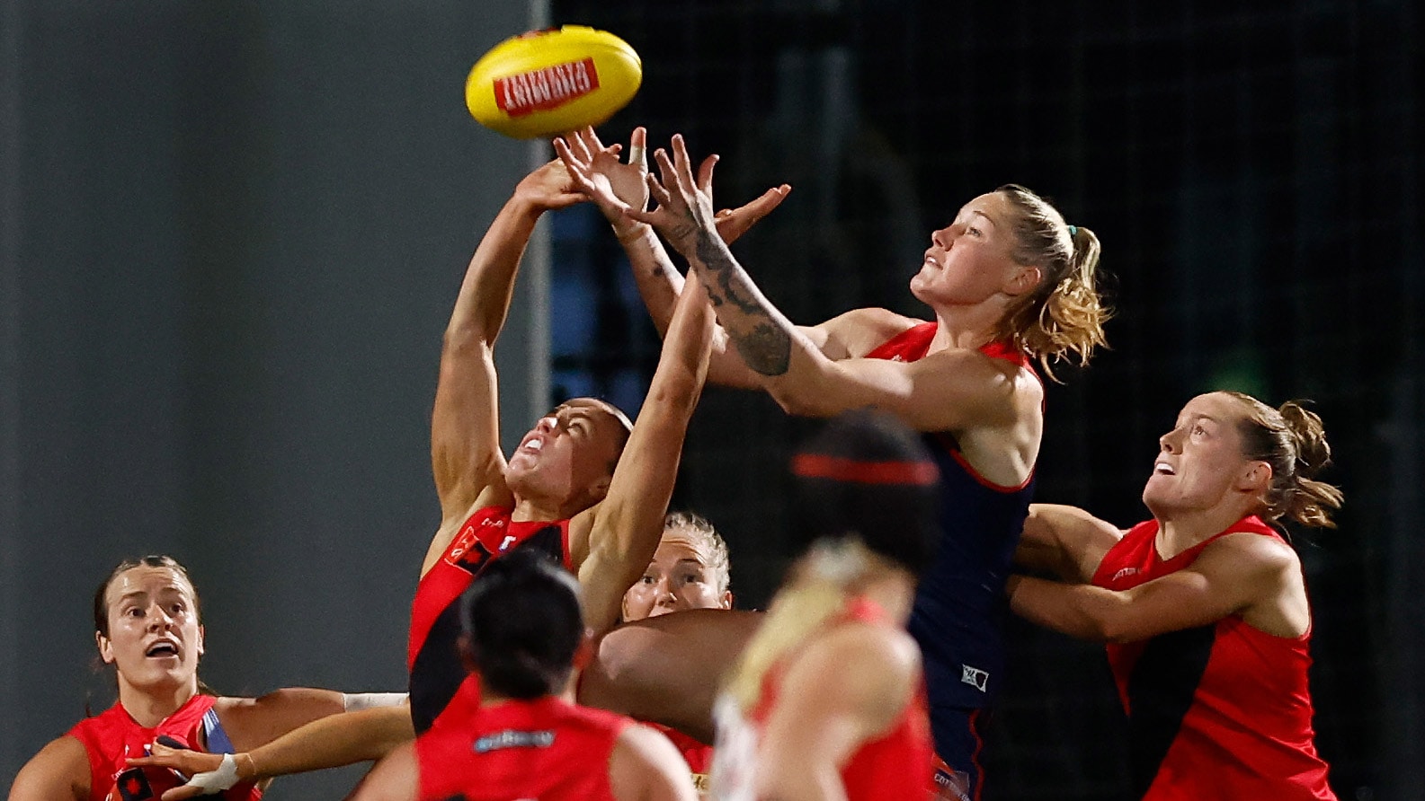 Tayla puts on a show as Demons prove too good for Bombers