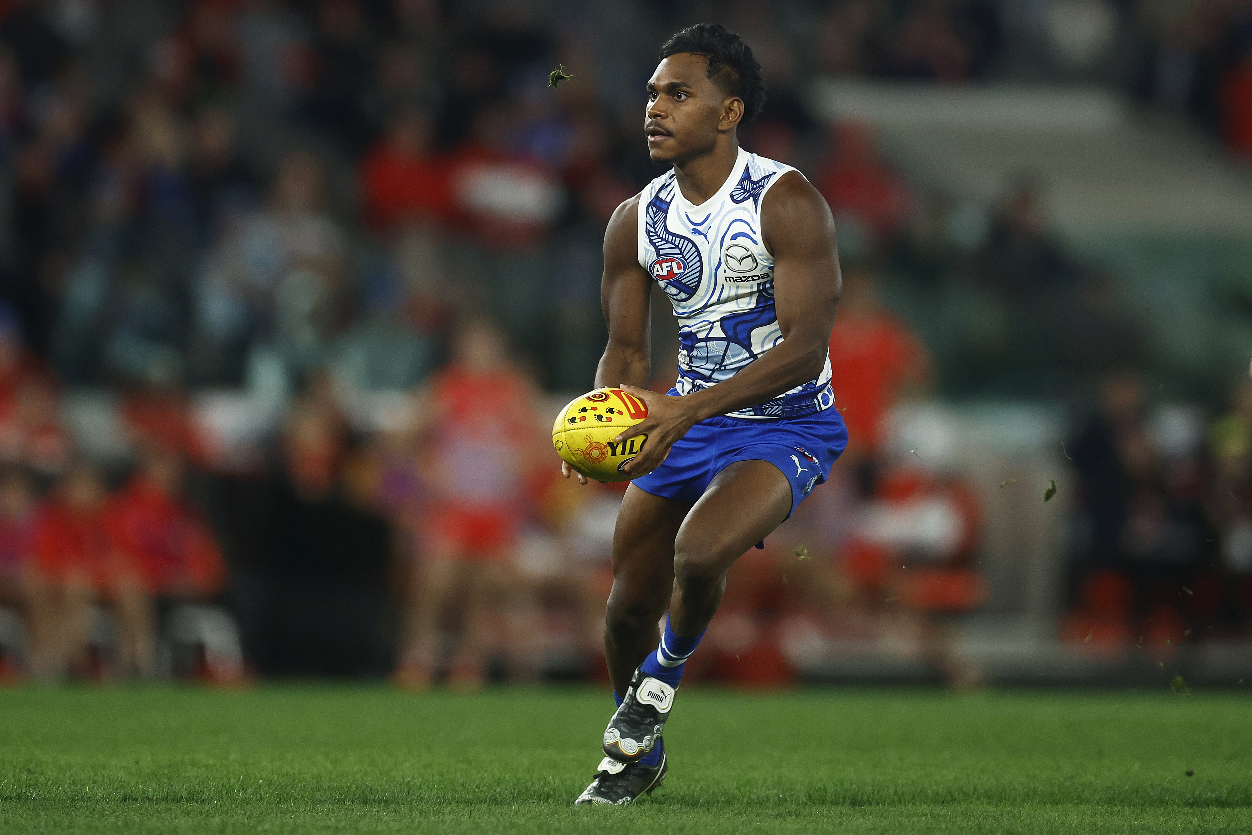 Former North Melbourne forward Phoenix Spicer dies, aged 23