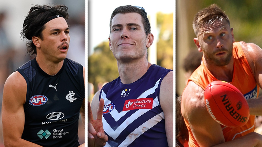 Axed veterans, new faces among 17 players given an AFL lifeline