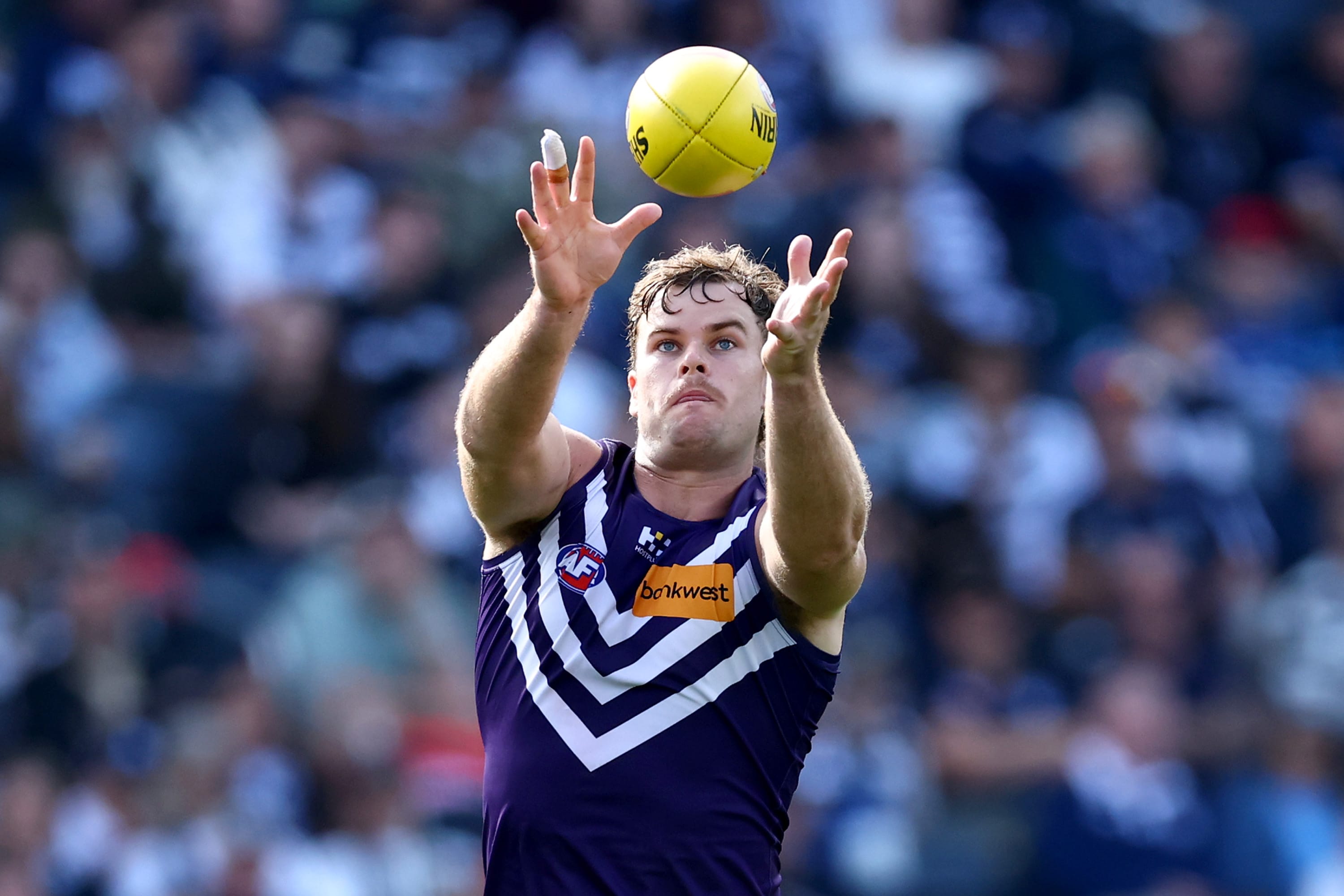 Dockers back big man after another 'frustrating' injury setback