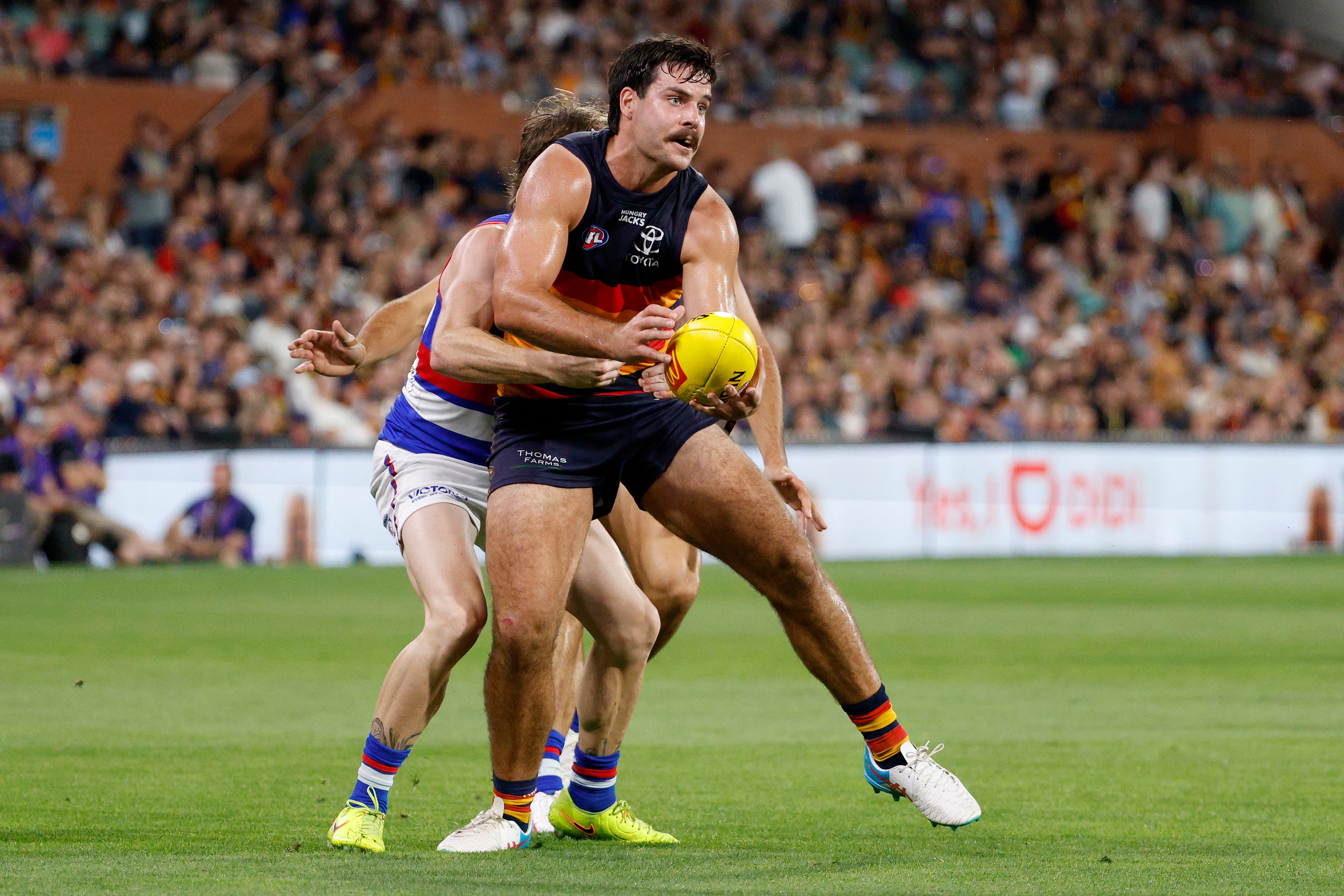 Crows forward nears comeback as captain returns to training