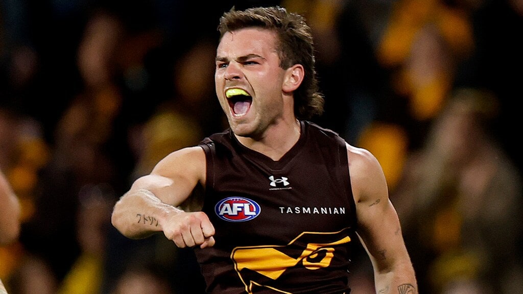 Hawthorn's small forwards light up Adelaide Oval