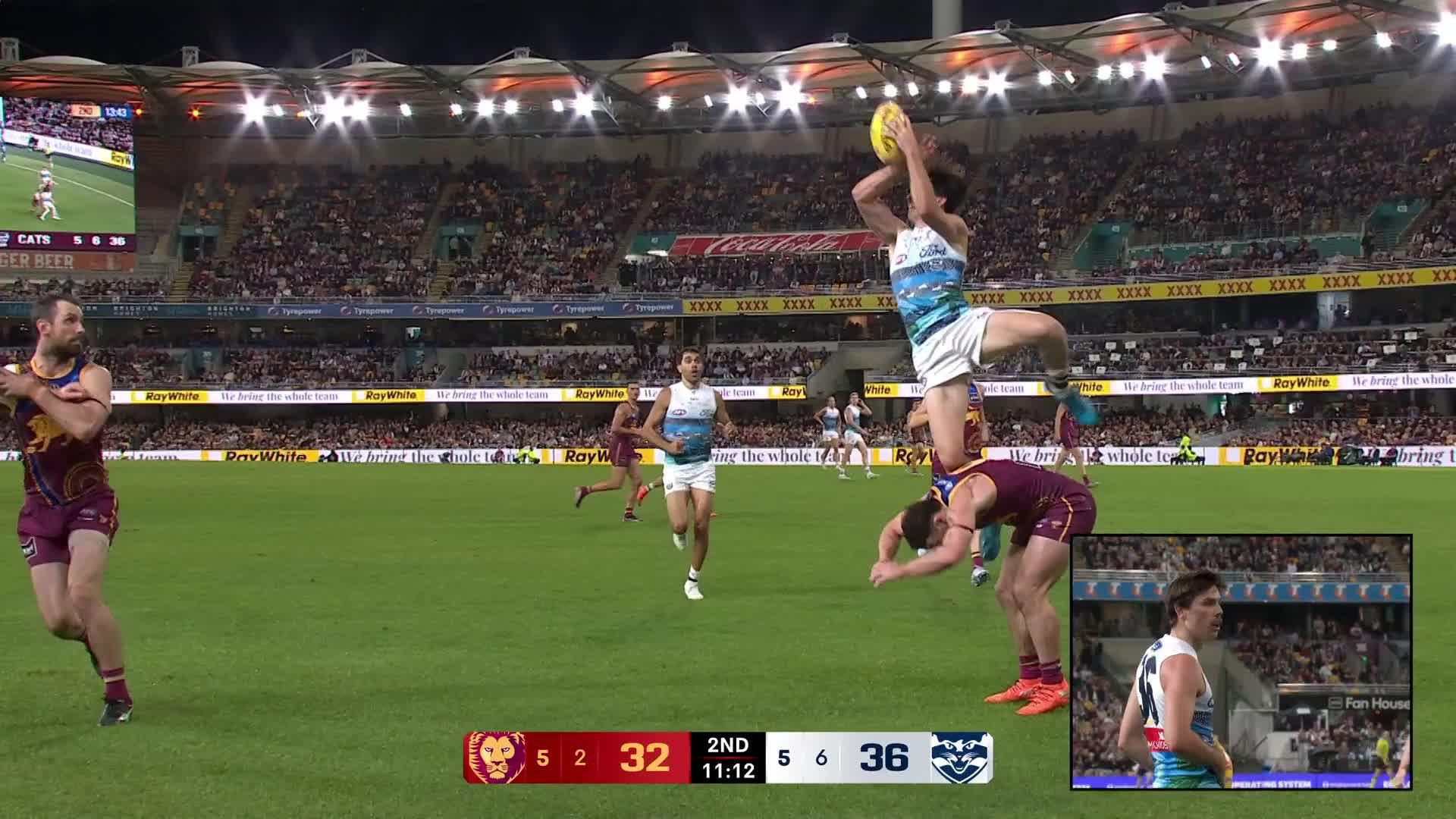 Cat uses Neale as a ‘speccy bag’ in wild grab