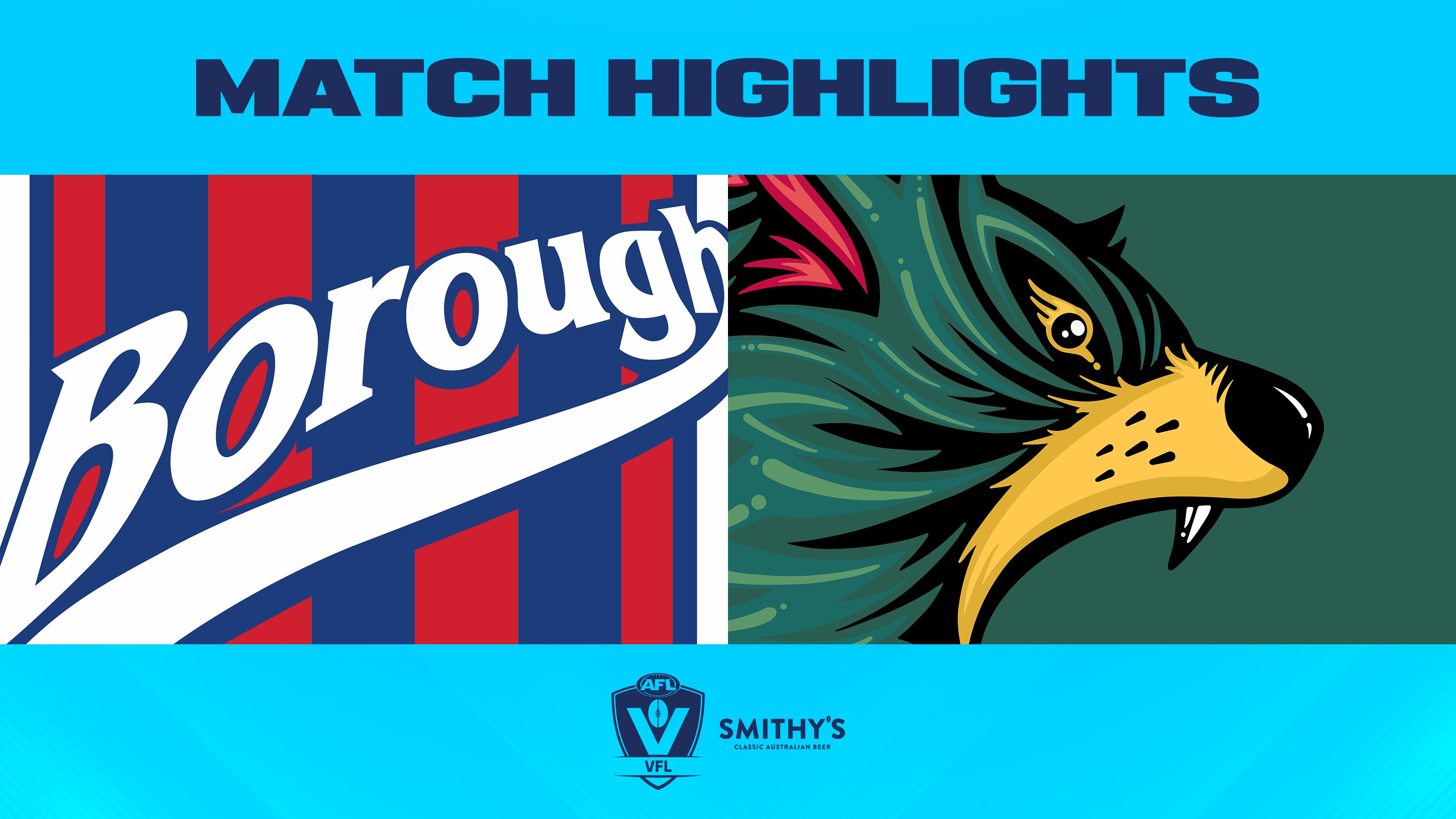 VFL Highlights: Port Melbourne v Tasmania