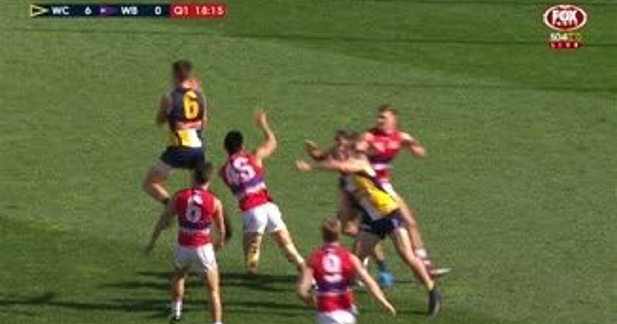 Nic Nat worth more than just hit-outs, says Priddis