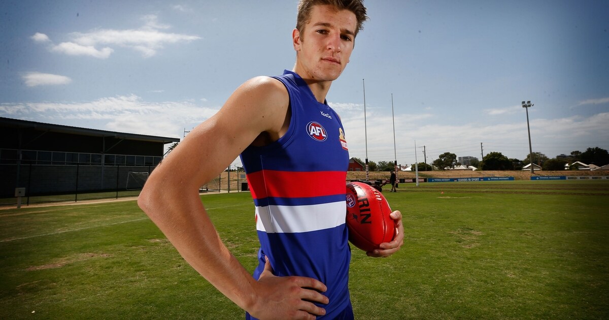 Stibbard joins Bulldogs