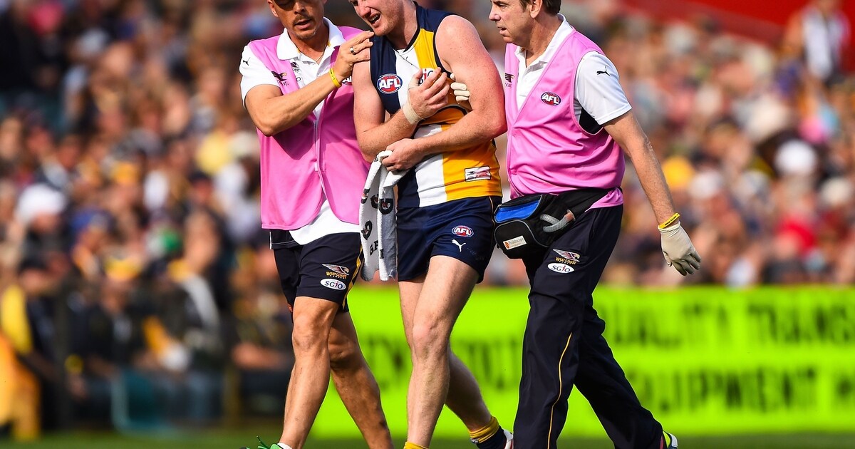 Eagles' injury toll rises with Ellis grounded