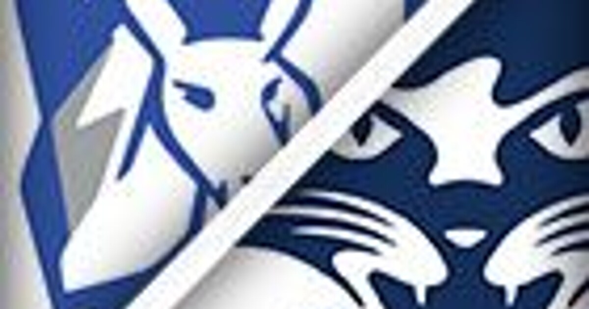 Match preview: Kangaroos v Cats