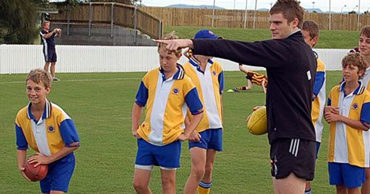 Magpies in Mackay: photo gallery