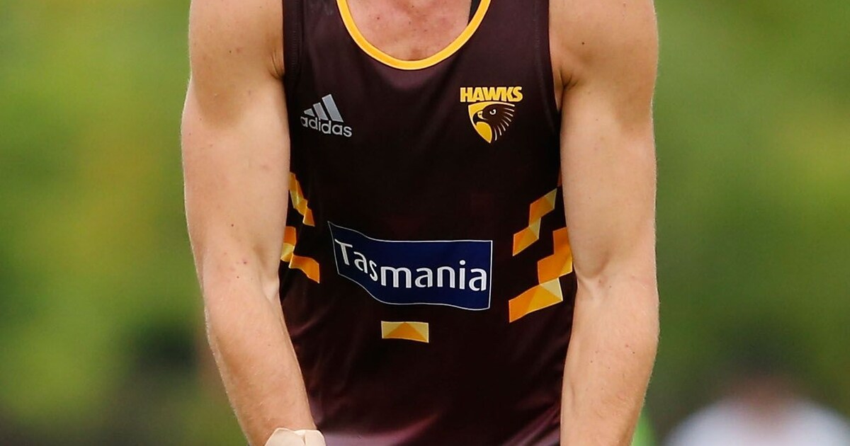 Hawks ruckman Ceglar ready to give niggling injury the finger