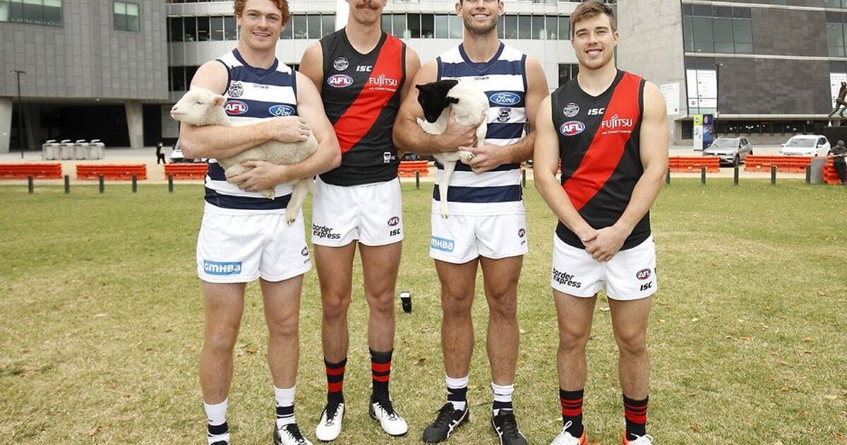 Match preview: Geelong v Essendon