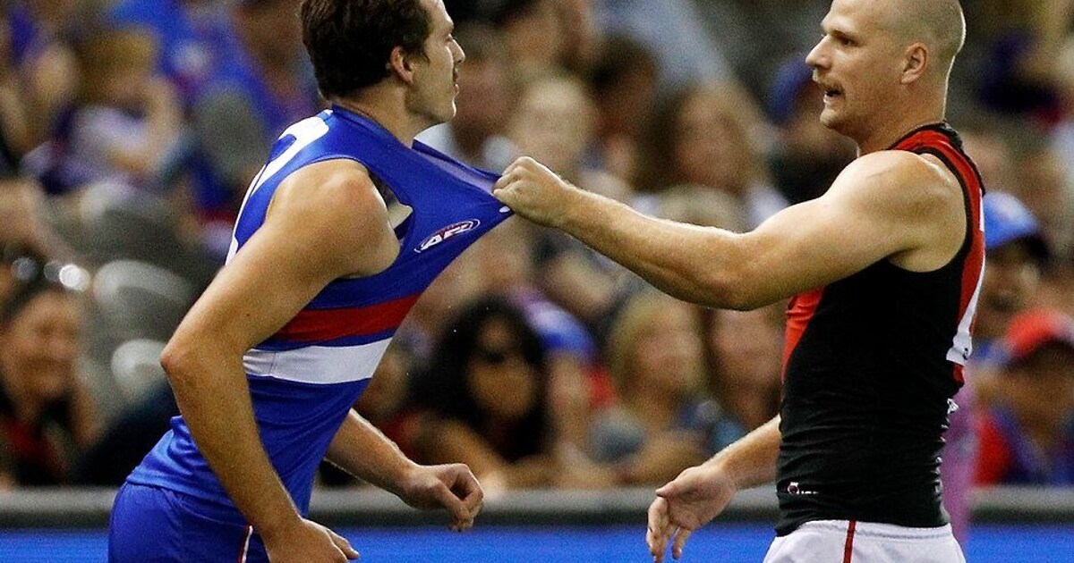 'Tenacious' Dog returns to play critical role