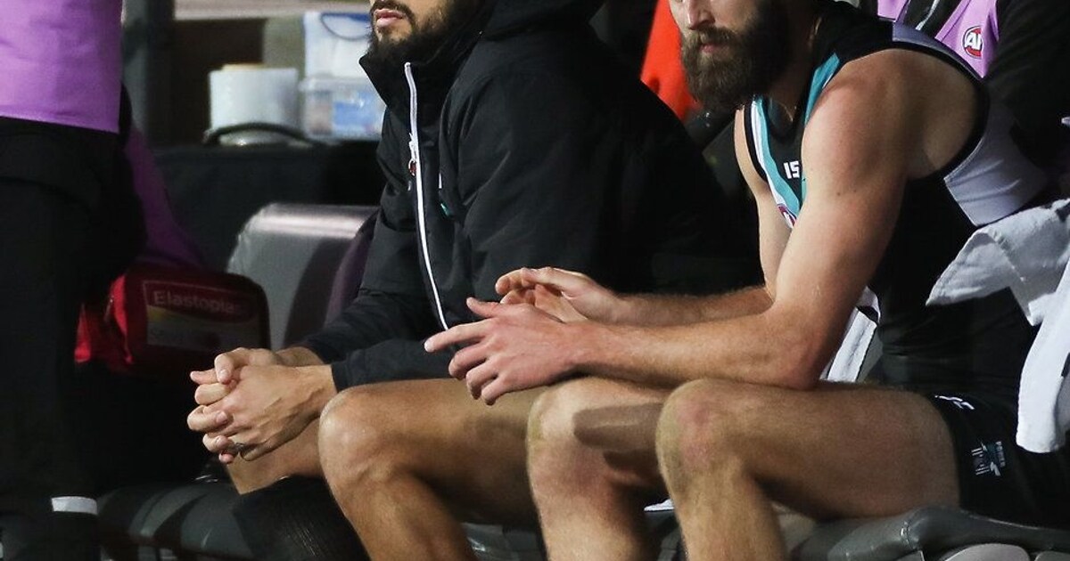 Why a big Eagle is 'puffing his chest out'