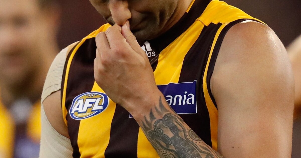 Finals pain to drive Hawks again, says Hodge