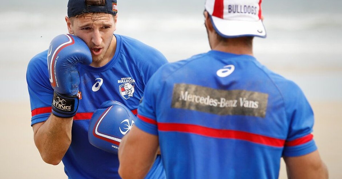 Fans' season previews: Western Bulldogs