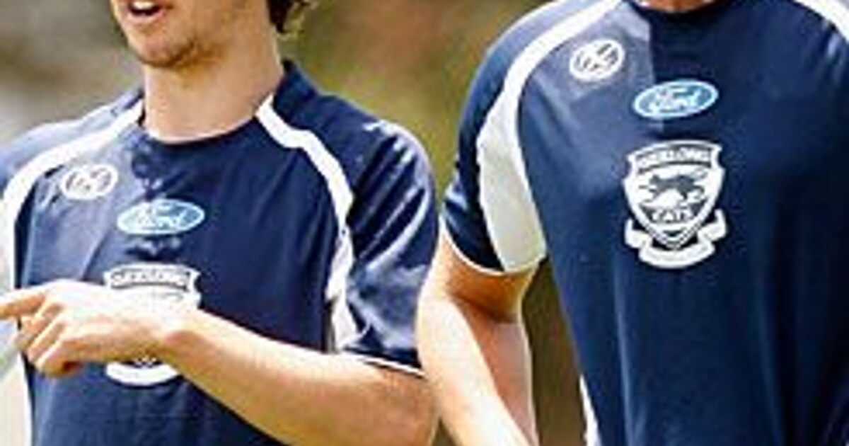 Big litter of Cats for NAB Cup