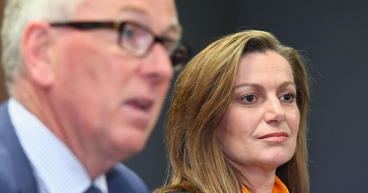 UPDATE: Hawks CEO goes after just five months