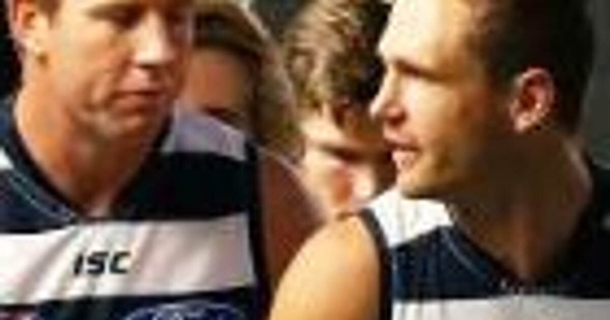 Mutation and adaptation: How the Cats and Hawks have evolved